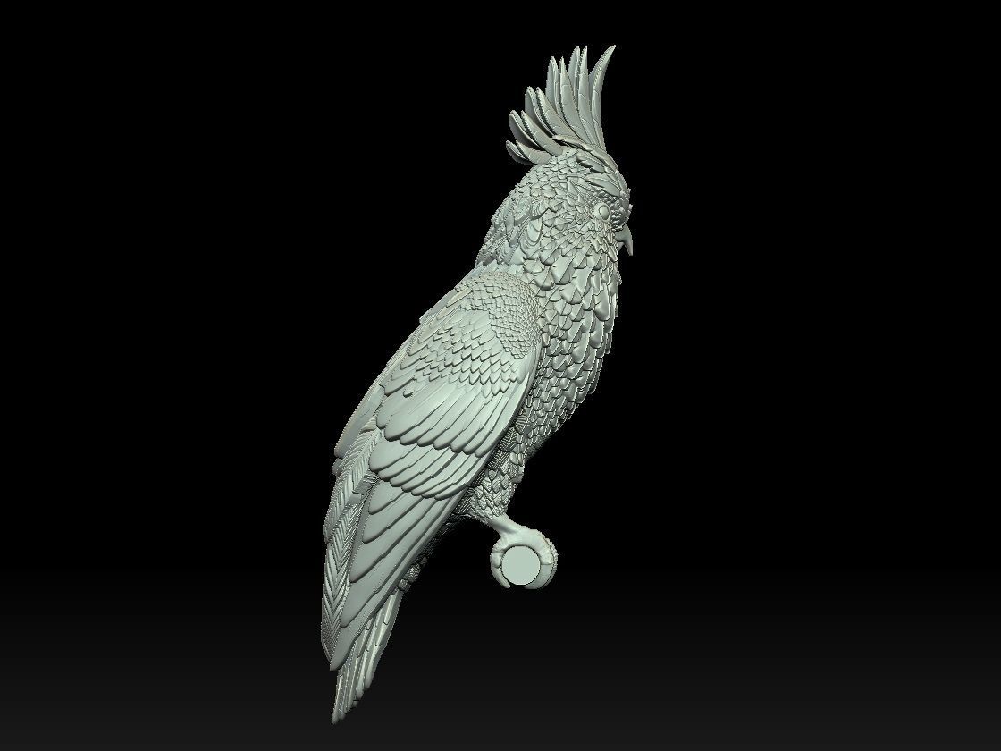 parrot 3D model 3D printable | CGTrader