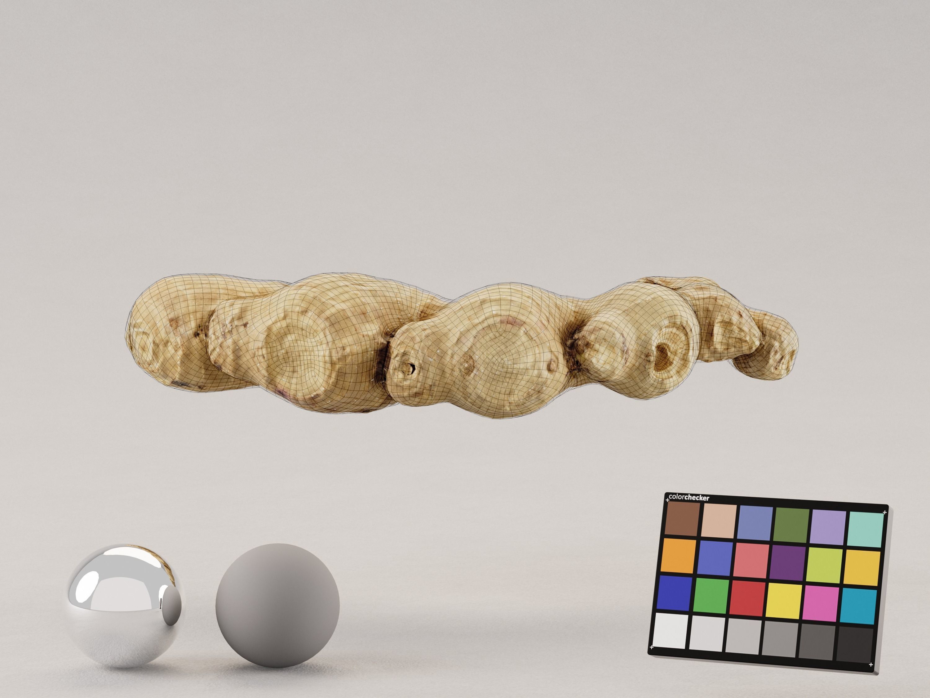 Ginger Photoscan 3D model | CGTrader