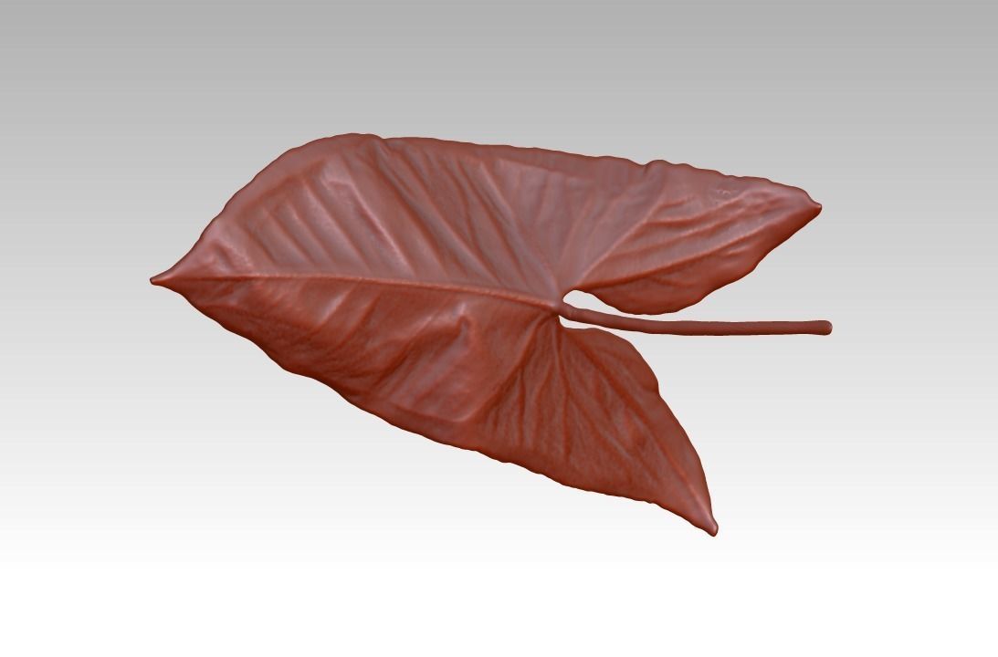 Plant leaf 3D printing STL sculpture 3D Carapace leaf ZB brush 3D model ...