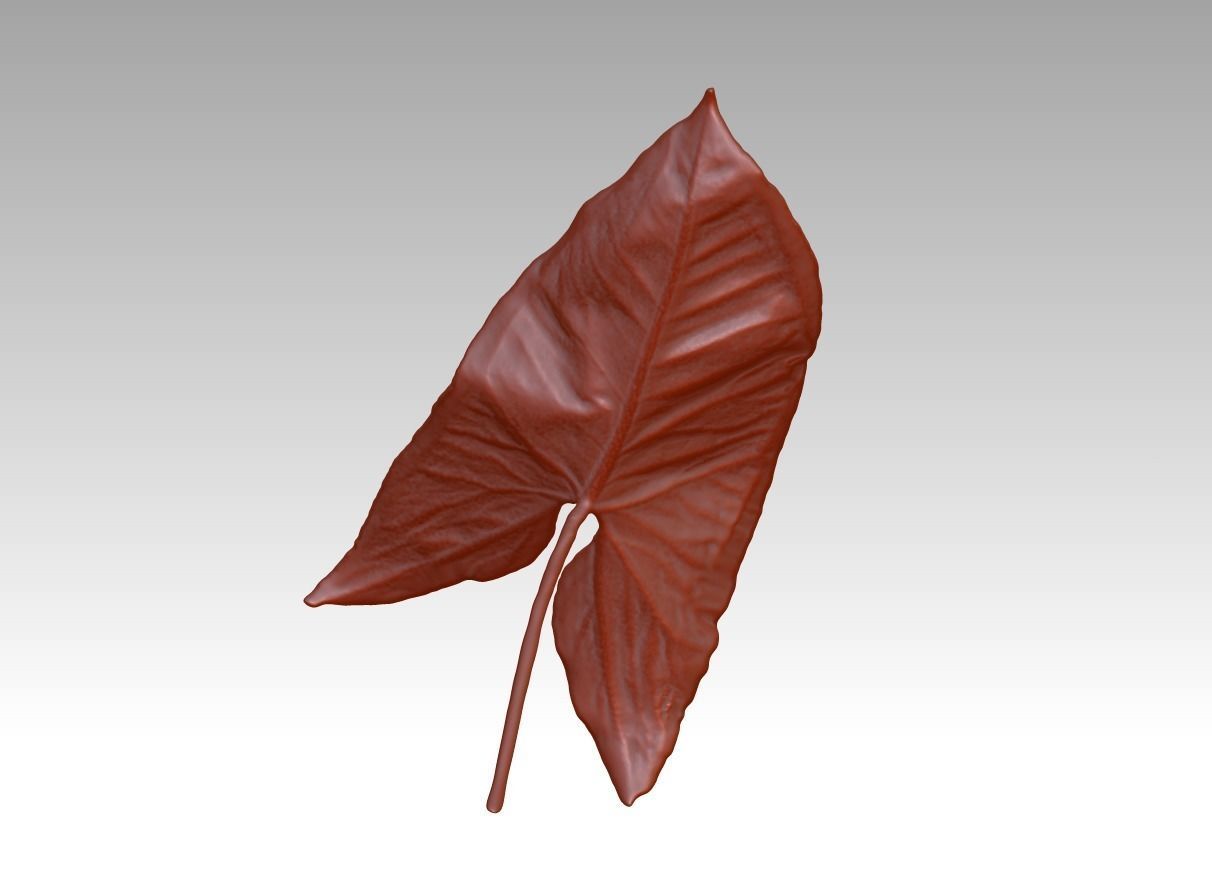 Plant leaf 3D printing STL sculpture 3D Carapace leaf ZB brush 3D model ...
