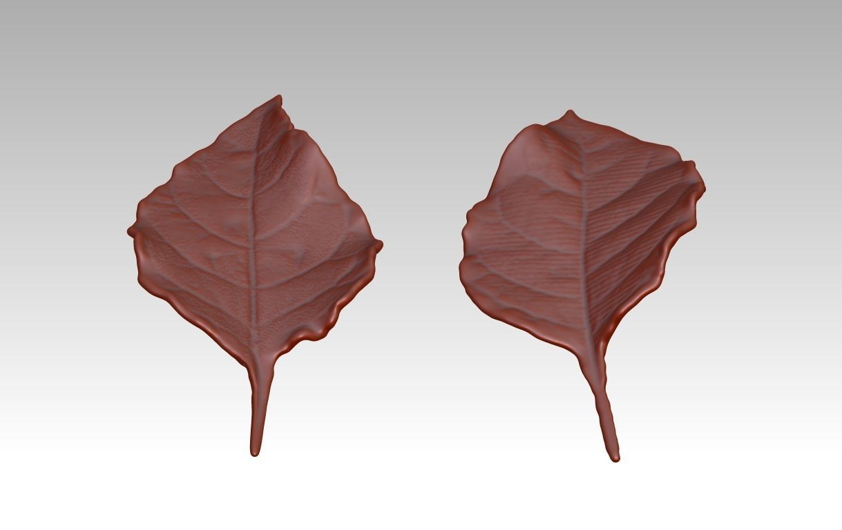3D printing STL Leaf sculpture 3D diagram ZBrus Leaf brush 3D model 3D ...