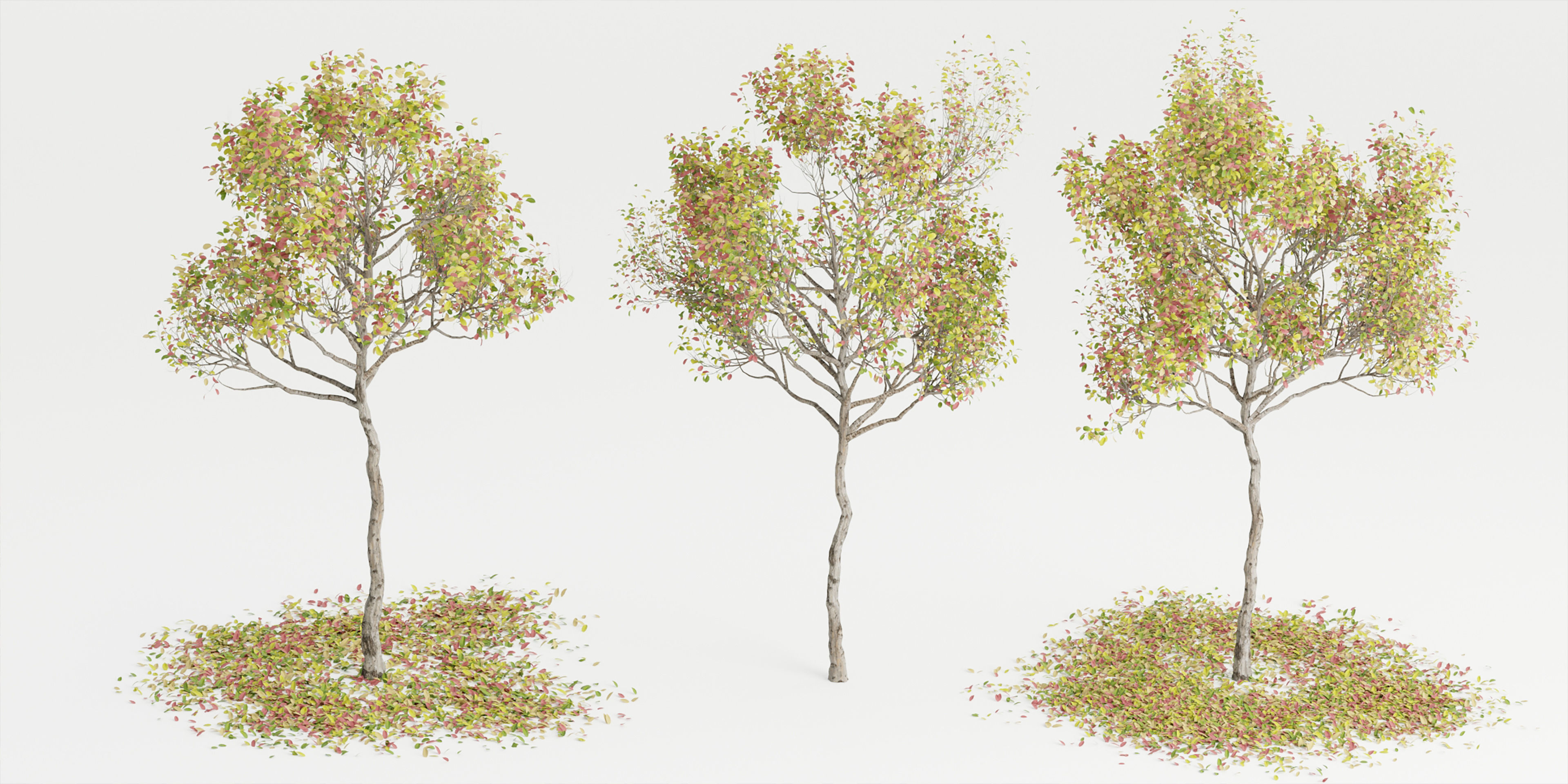 Autumn trees collection vol 32-Blender 3D model | CGTrader