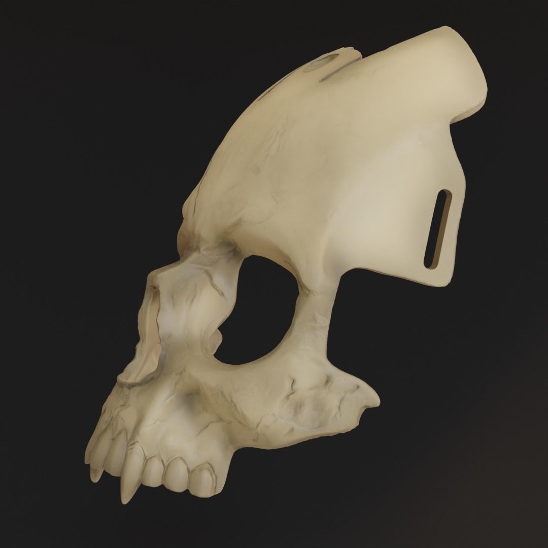 Death Knight Mask from Escape From Tarkov game for 3D Printing 3D model ...