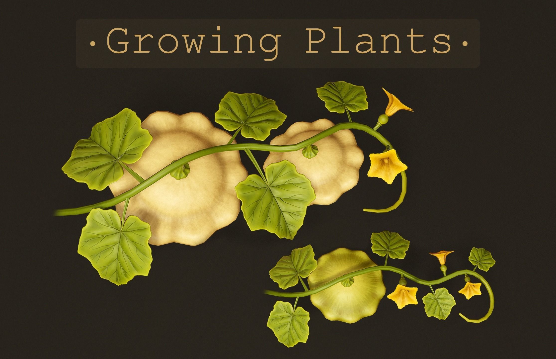 3D model Growing Farm Plants Pack VR / AR / low-poly | CGTrader