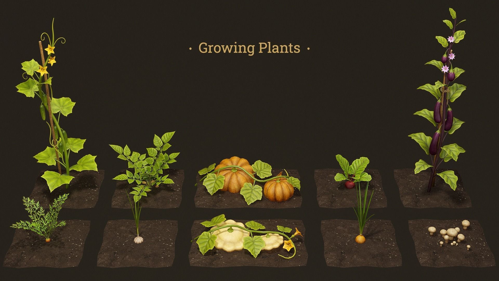 3D model Growing Farm Plants Pack VR / AR / low-poly | CGTrader