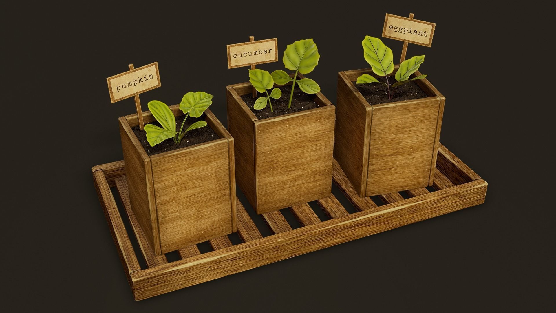 3D model Growing Farm Plants Pack VR / AR / low-poly | CGTrader