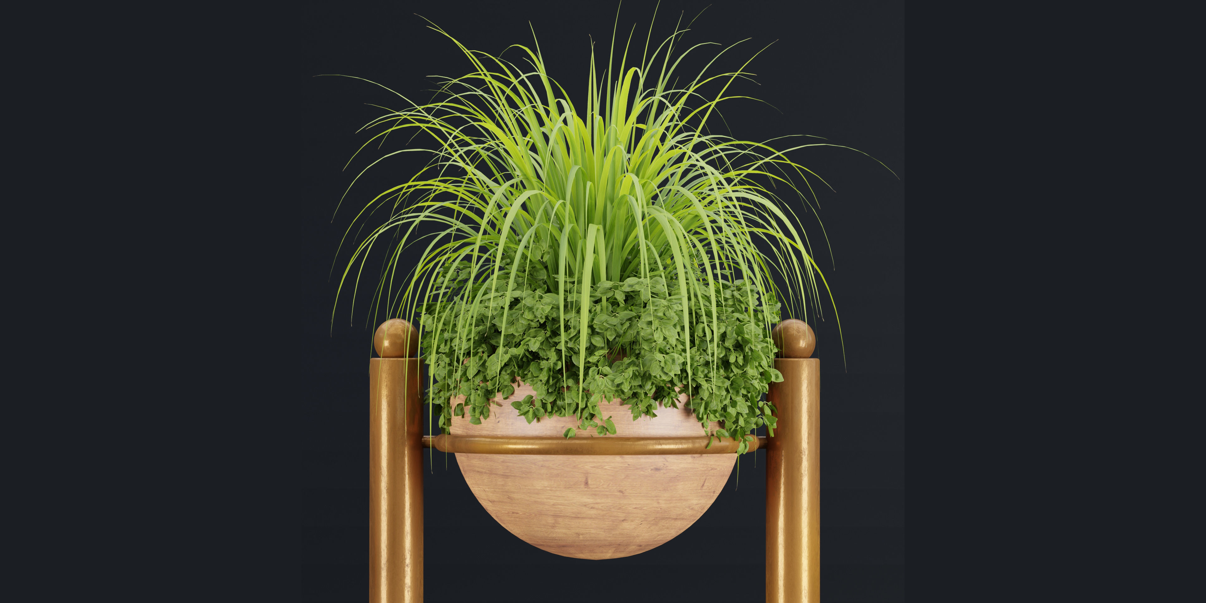 indoor plants new collection vol 35-Blender 3D model | CGTrader