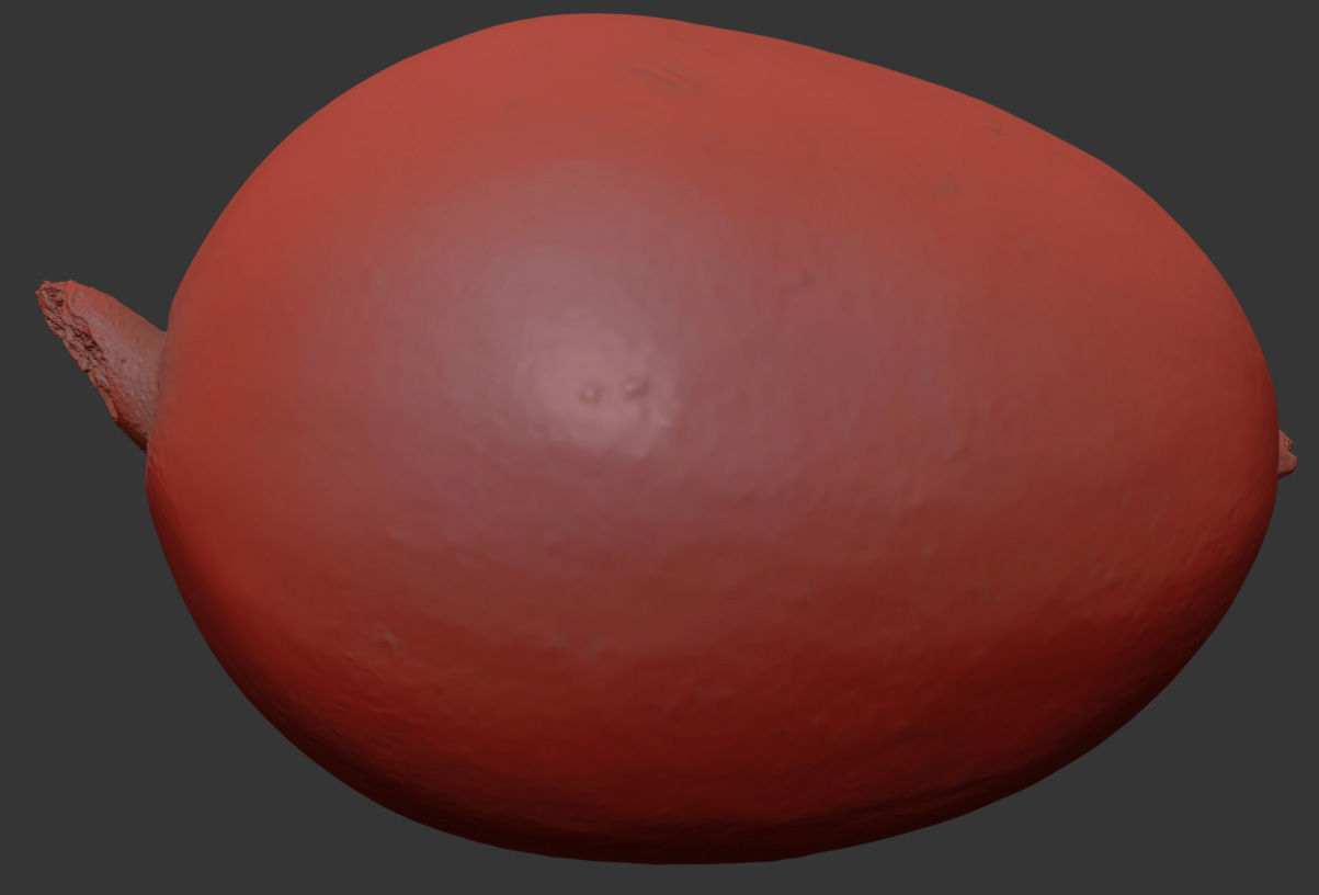 Walnut 3D model | CGTrader