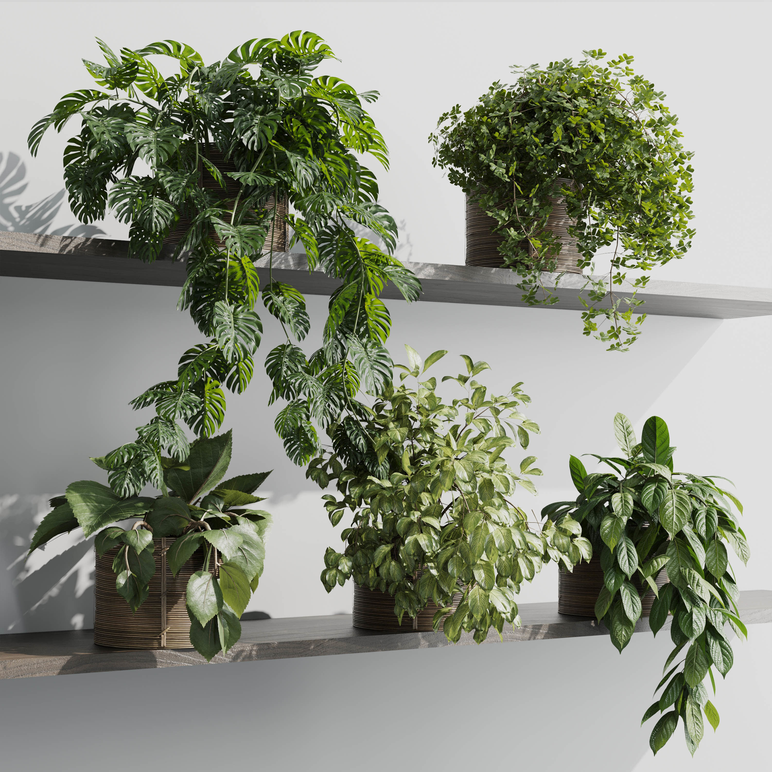 3D model wall plant - set Indoor plant 408 plants on shelf VR / AR ...