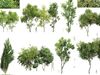 8 Different SETS Of Trees SET VOL10 3D Model Collection | CGTrader