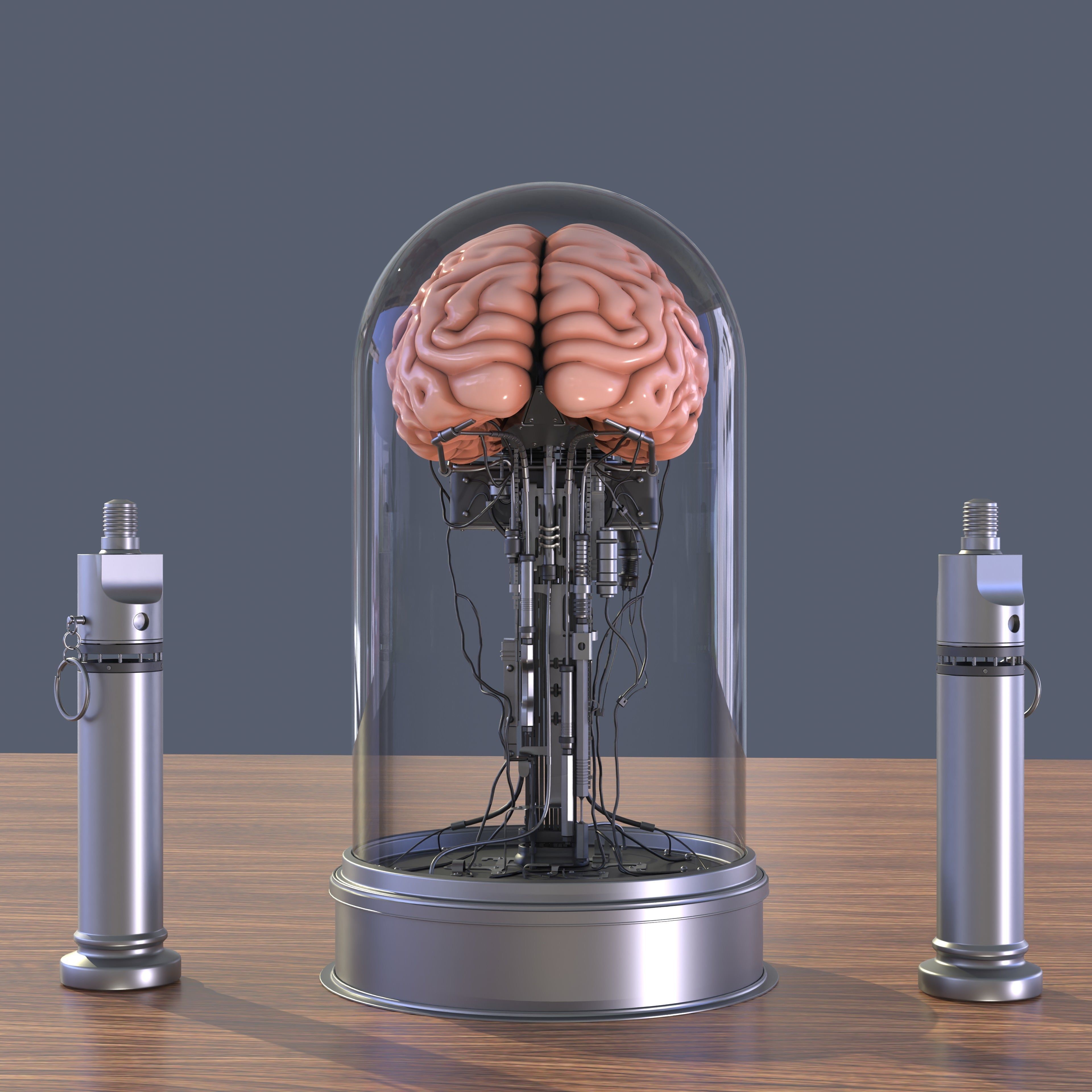 Brain in a jar 3D model | CGTrader