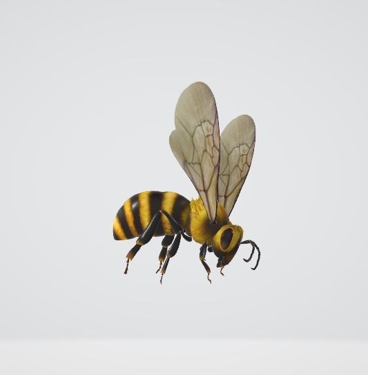 3D model animated bee VR / AR / low-poly | CGTrader