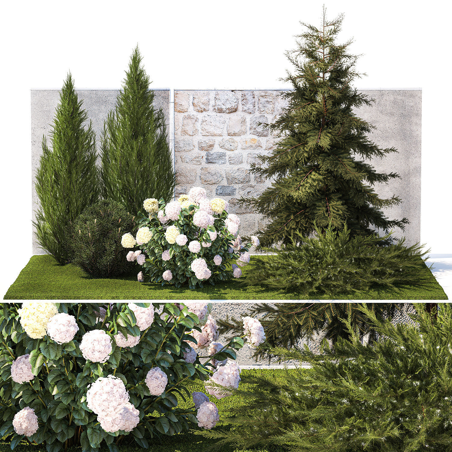 Garden with thuja cypress pine and Hydrangea white bushes 1379 3D model ...