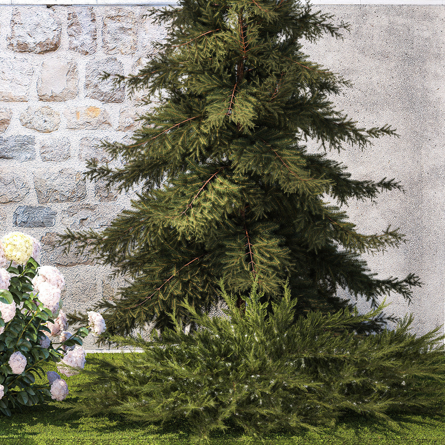 Garden with thuja cypress pine and Hydrangea white bushes 1379 3D model ...