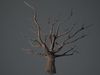 Tree 3d model free VR / AR / low-poly 3D model animated | CGTrader