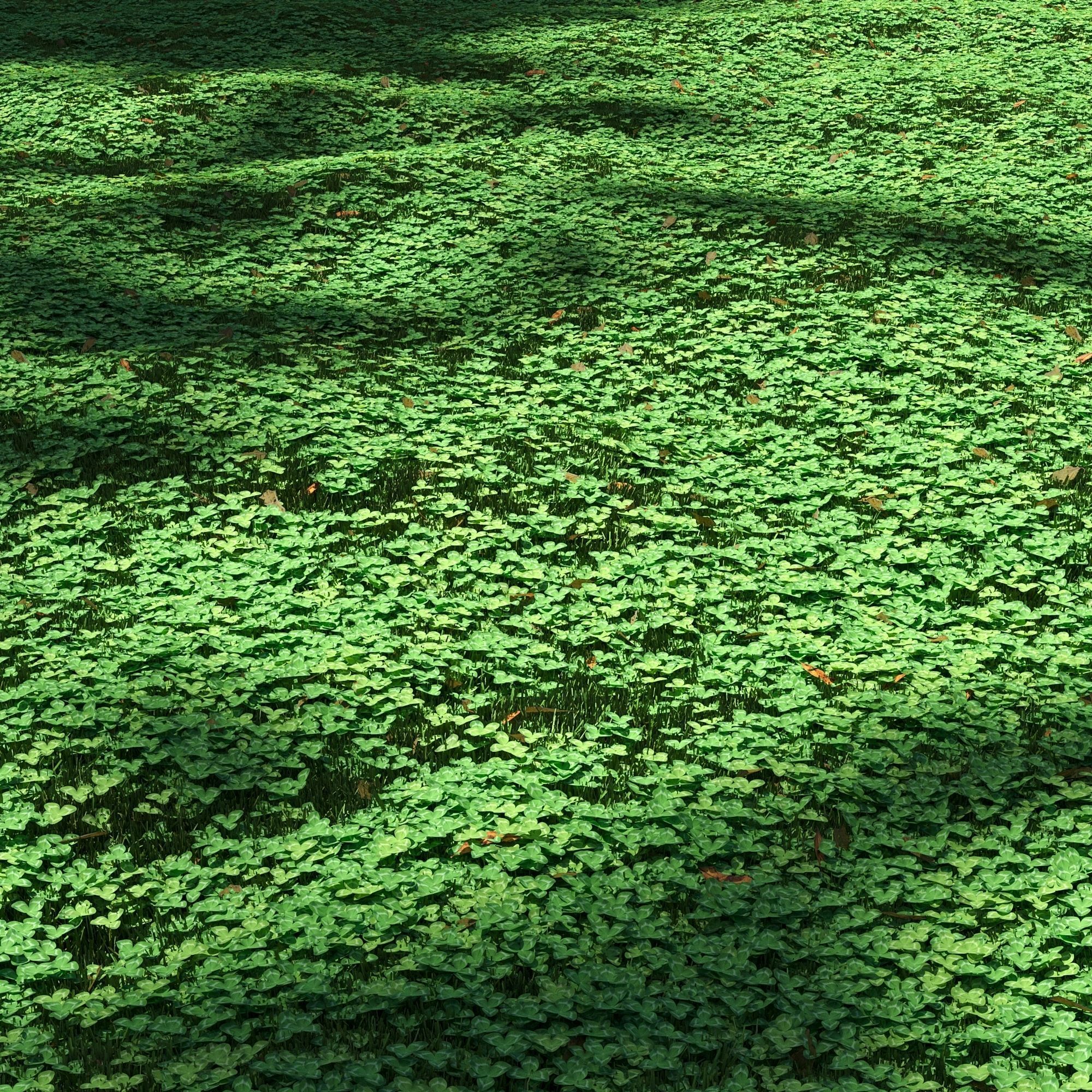 Clover lawn 3D model | CGTrader