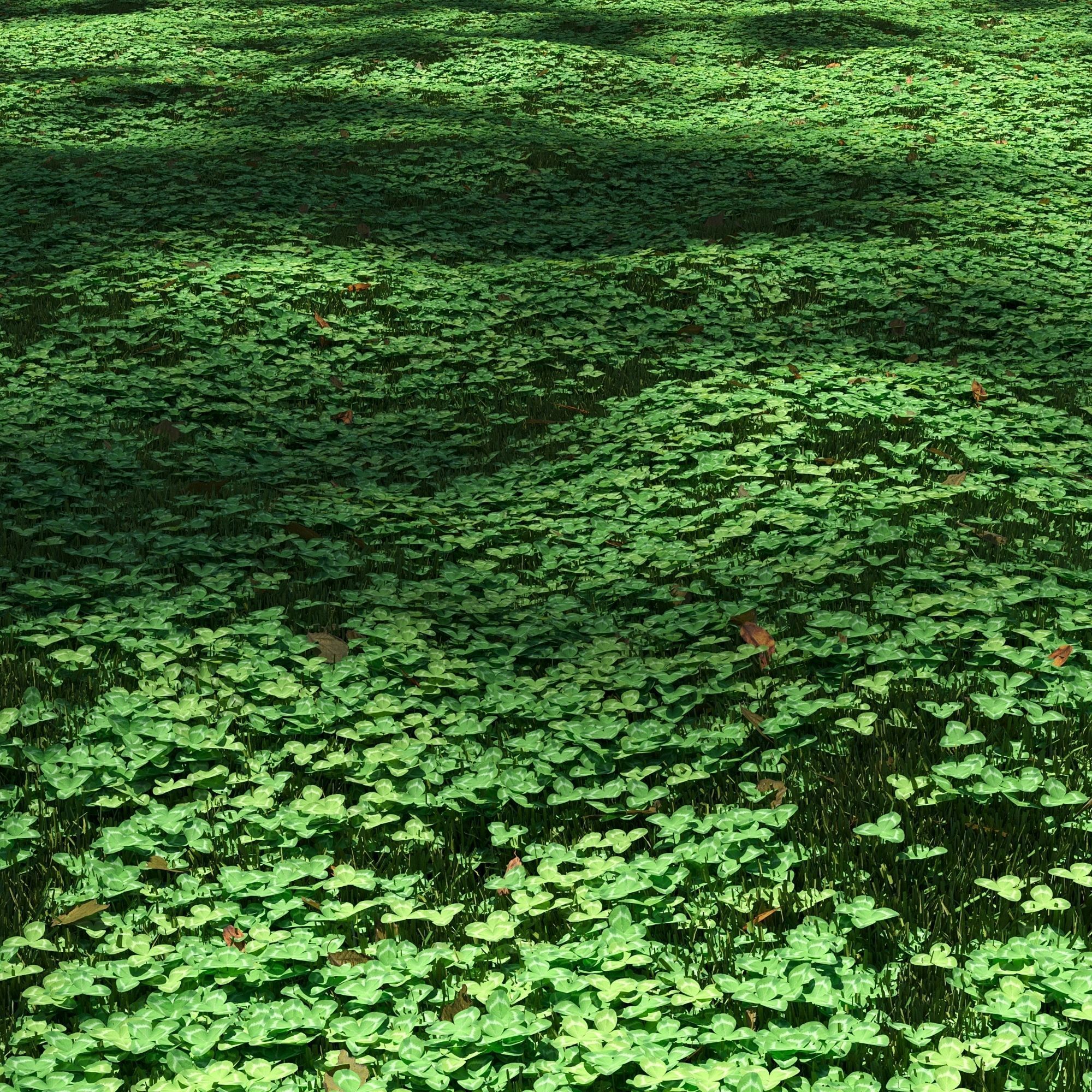 Clover lawn 3D model | CGTrader