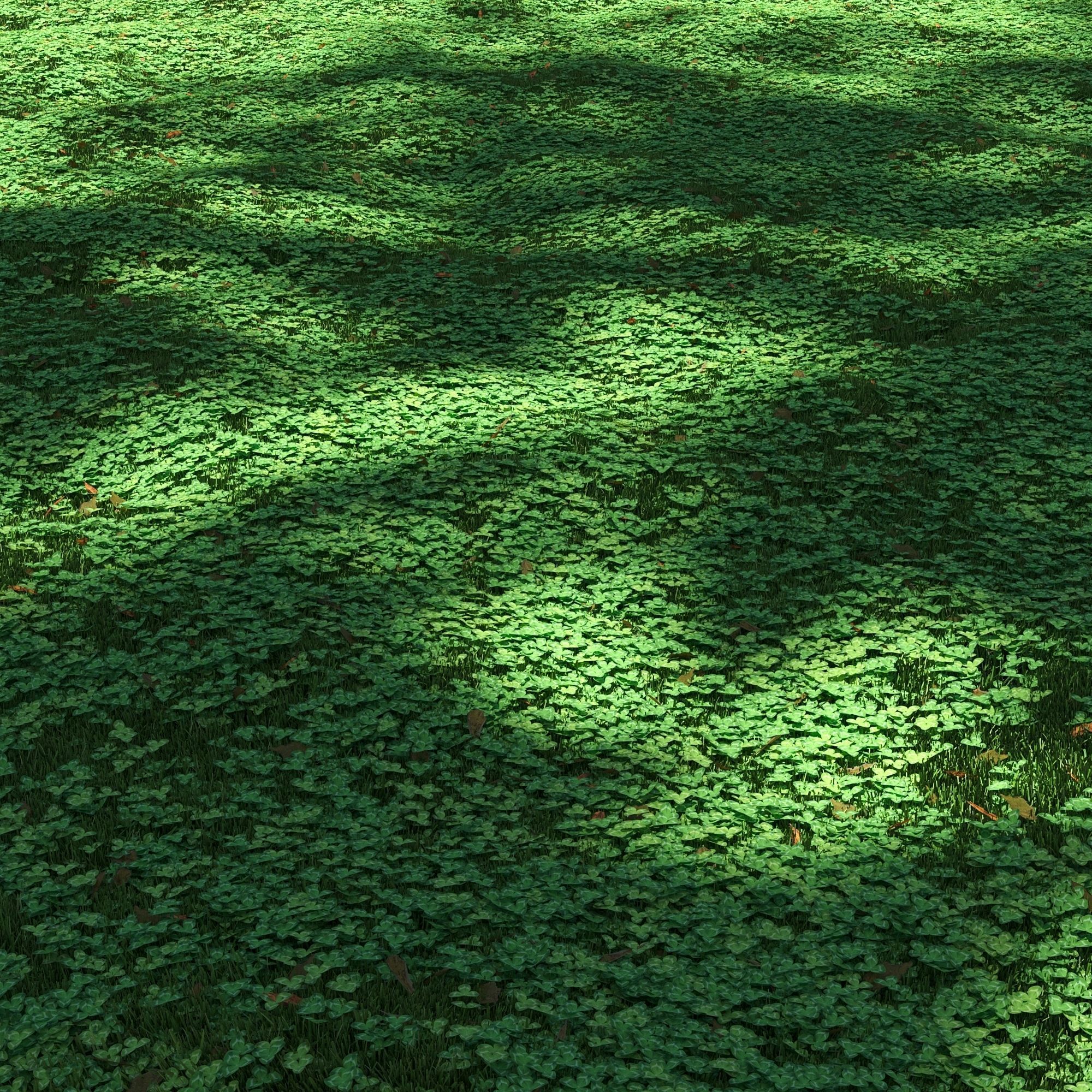 Clover lawn 3D model | CGTrader