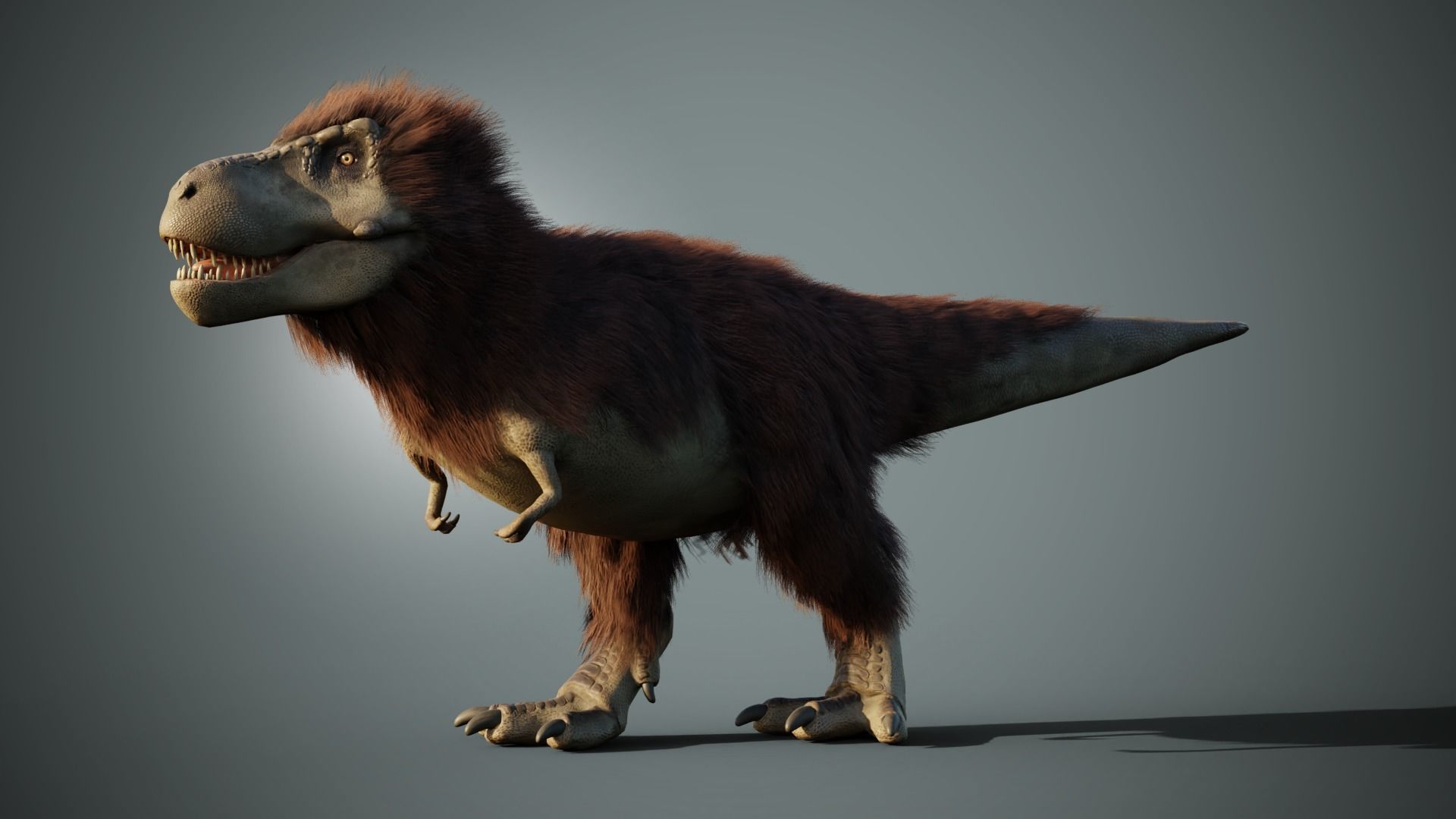 3D model Tyrannosaurus Rex with feathers VR / AR / low-poly | CGTrader