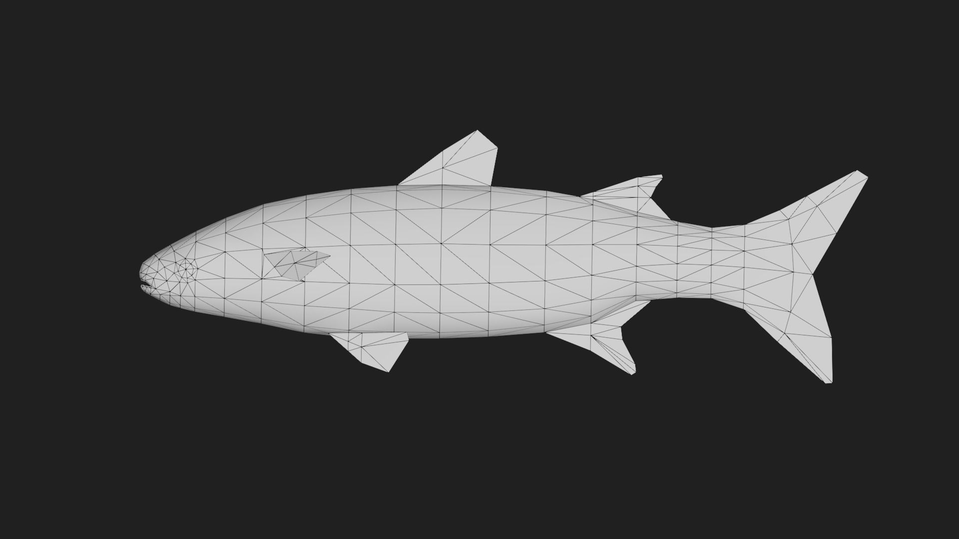 3D model Mullet VR / AR / low-poly | CGTrader