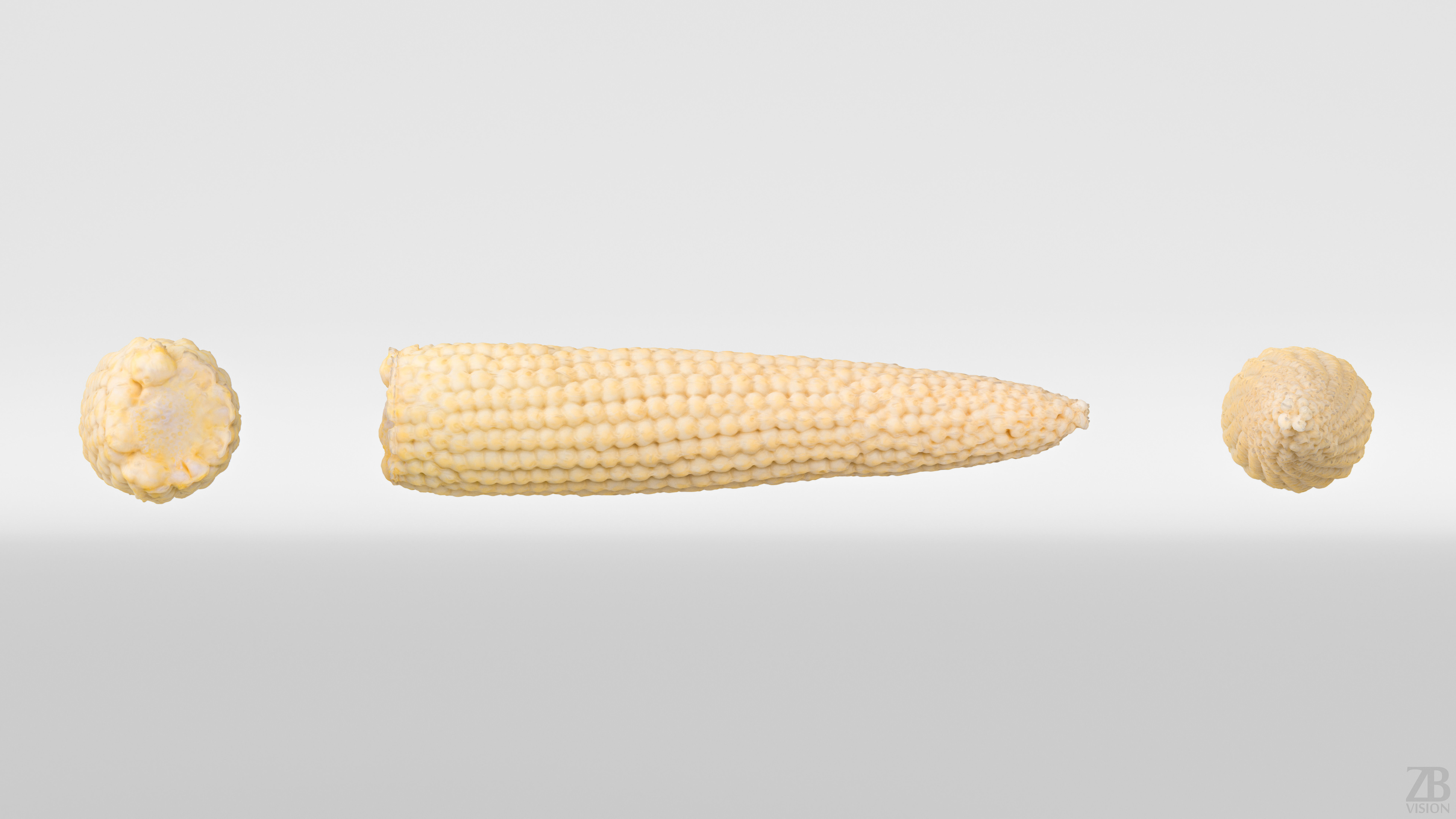 Corn 3D model | CGTrader