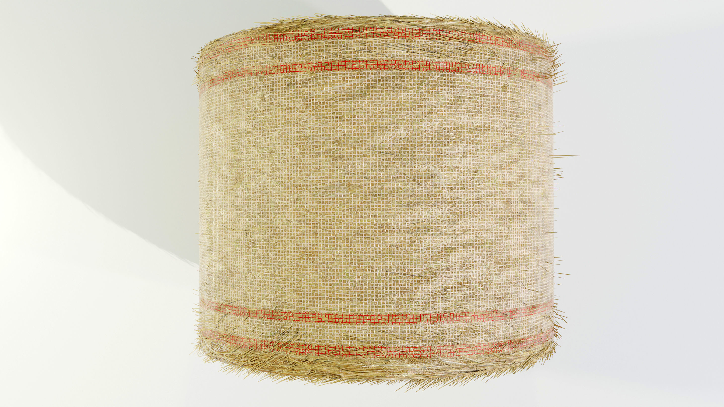 Round Hay Bale 3D model | CGTrader