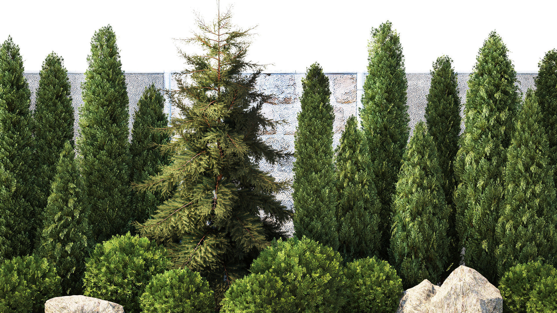 Garden with thuja cypress pine and topiary plant 1381 3D model | CGTrader