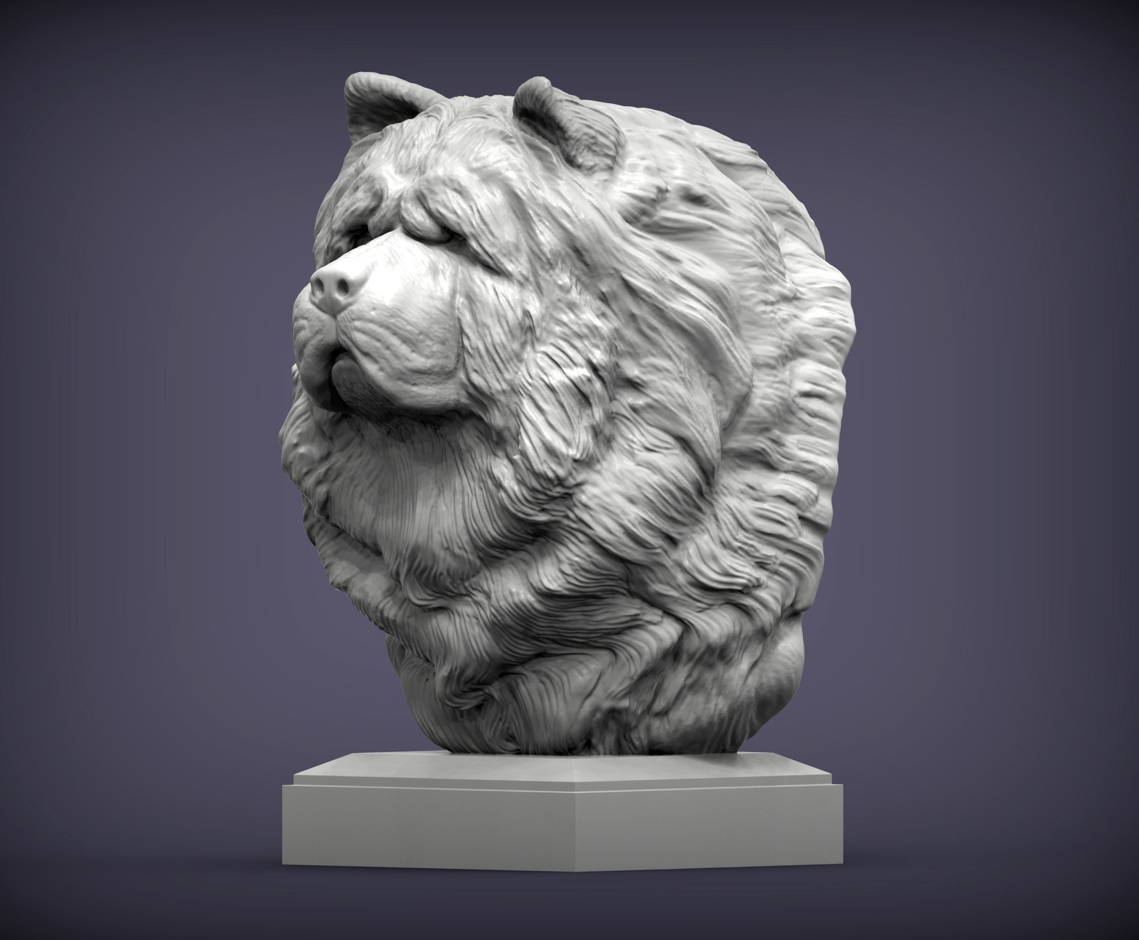 Chow Chow bust 3D model 3D printable | CGTrader