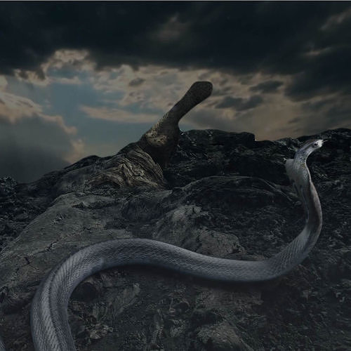 3D model Snake Rigged VR / AR / low-poly | CGTrader