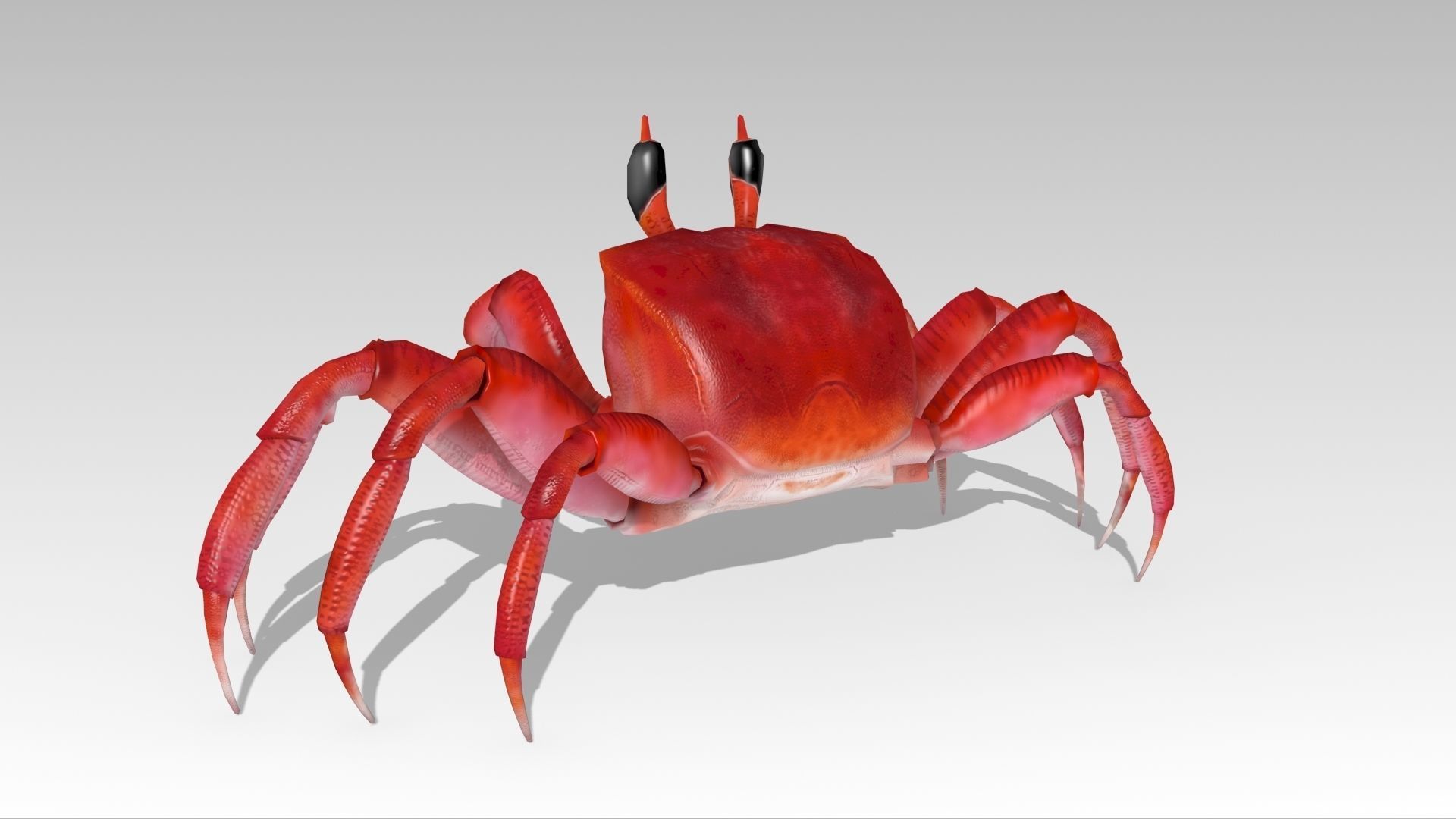 3D model Crab Animated VR / AR / low-poly | CGTrader