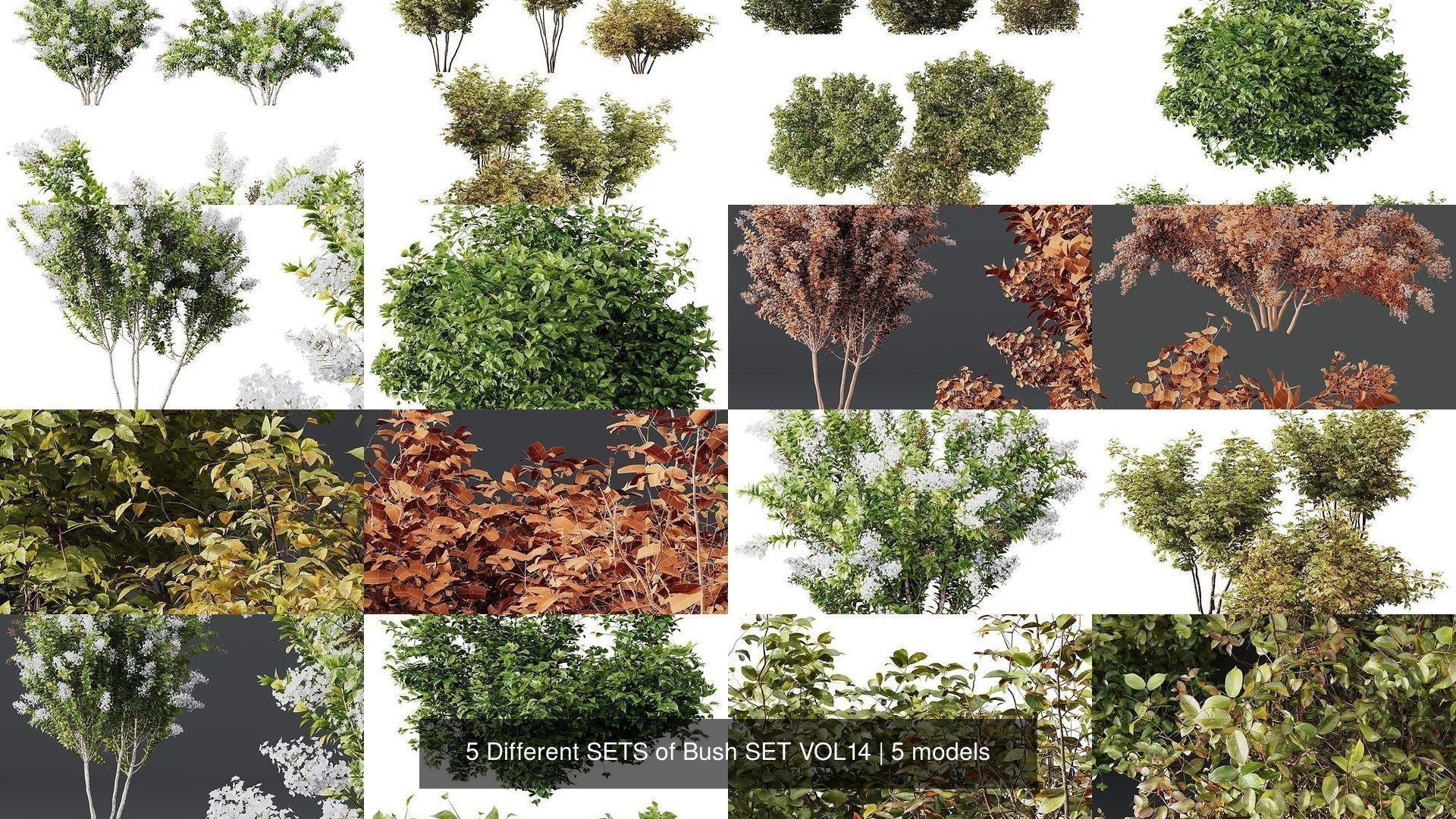 5 Different SETS of Bush SET VOL14 3D Model Collection | CGTrader
