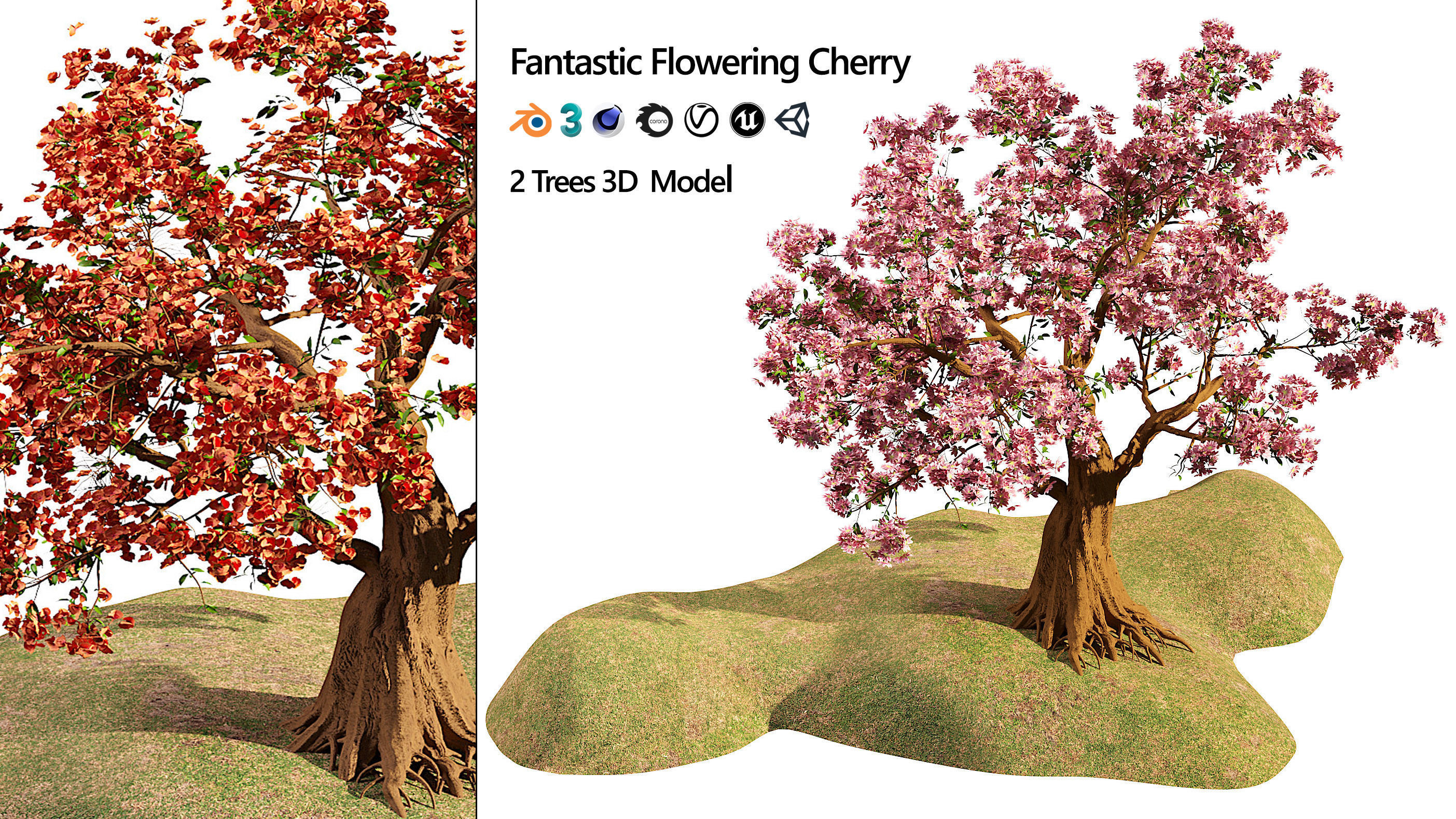 3D model Cherry trees in full bloom in orange and pink colors VR / AR ...