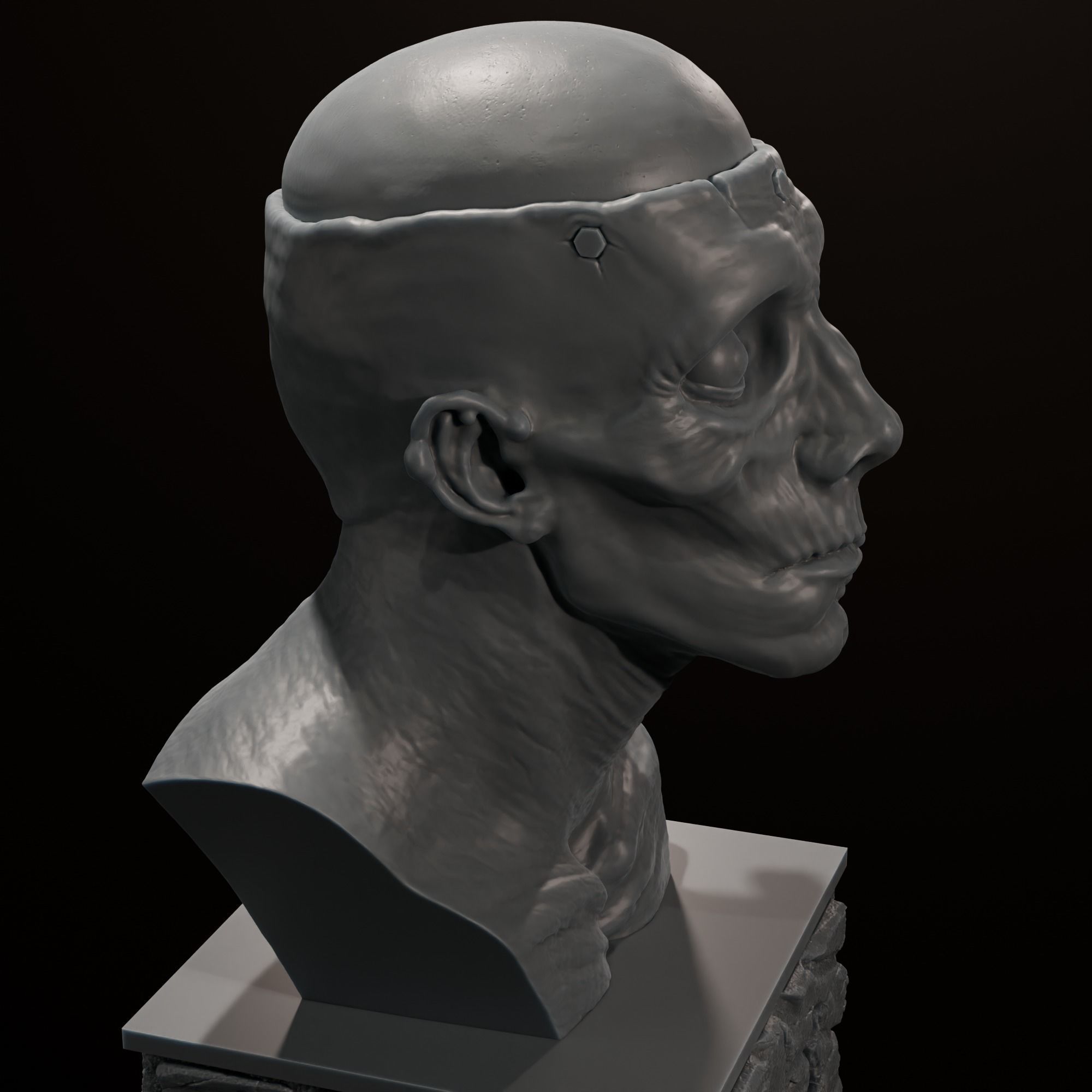 Monster Bust Metal Head Jordu Schell 3D model 3D printable | CGTrader