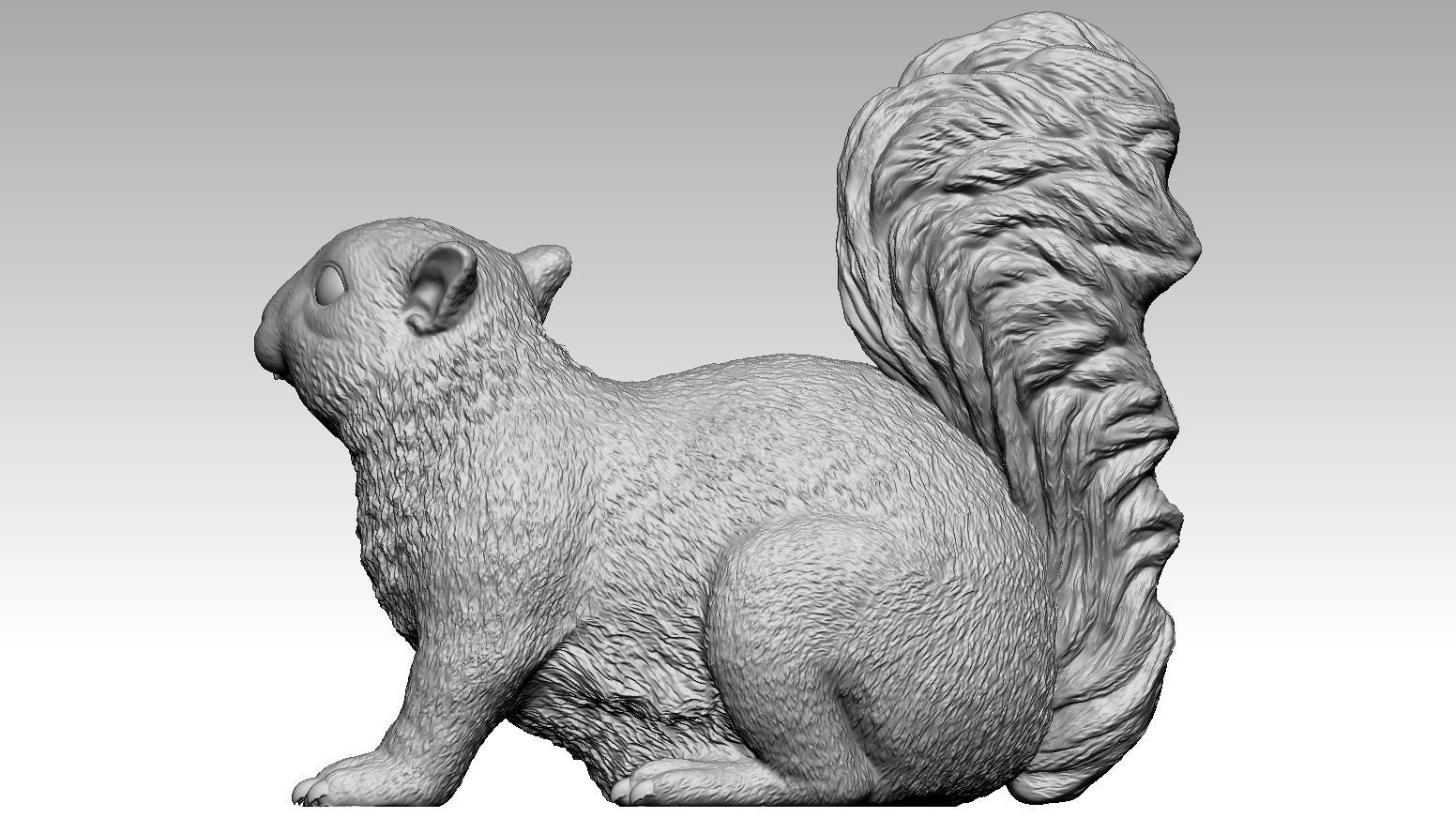 squirrel 3D model 3D printable | CGTrader