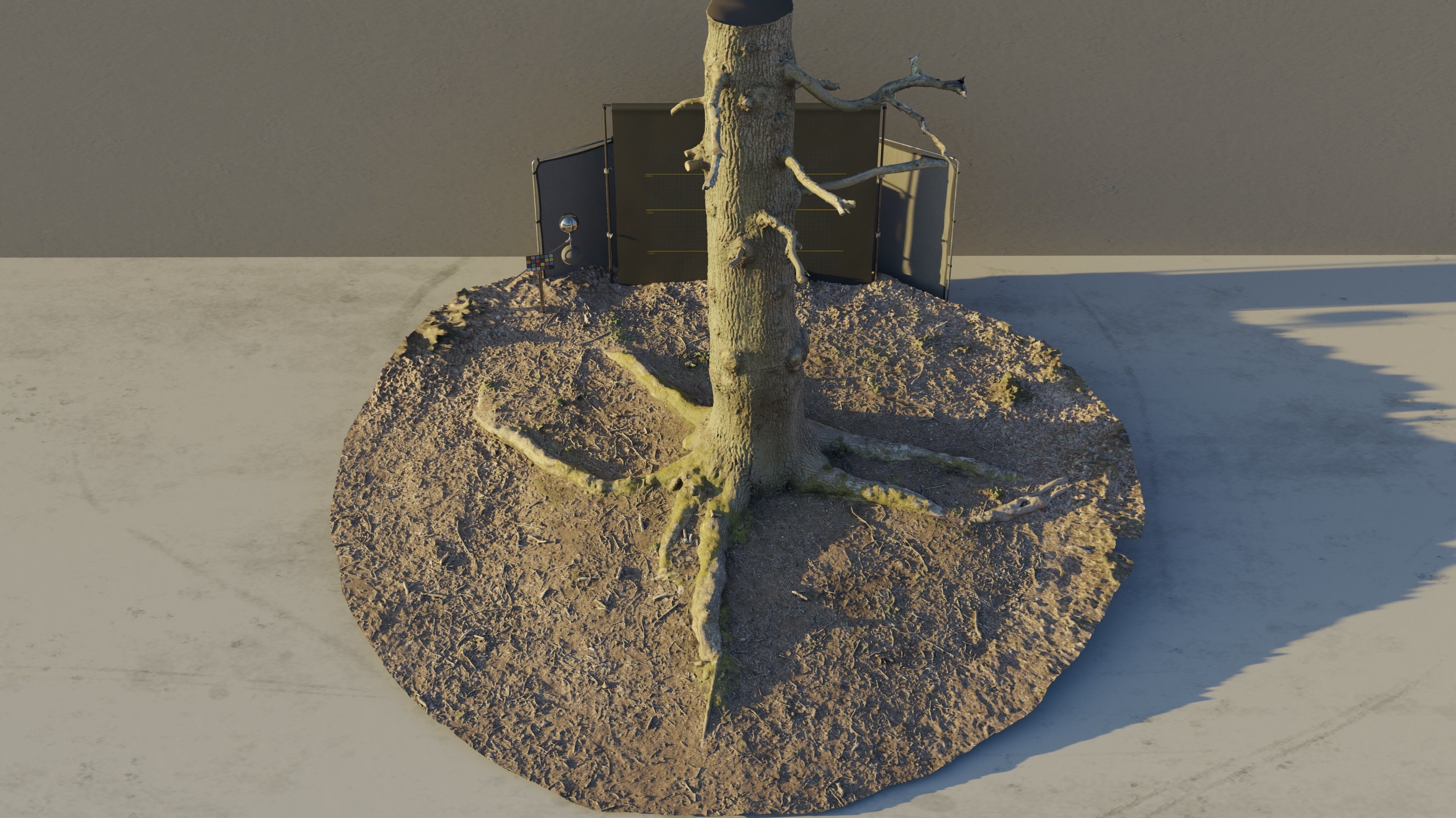 3D model Photogrammetry Model of a Tall Mossy Tree VR / AR / low-poly ...