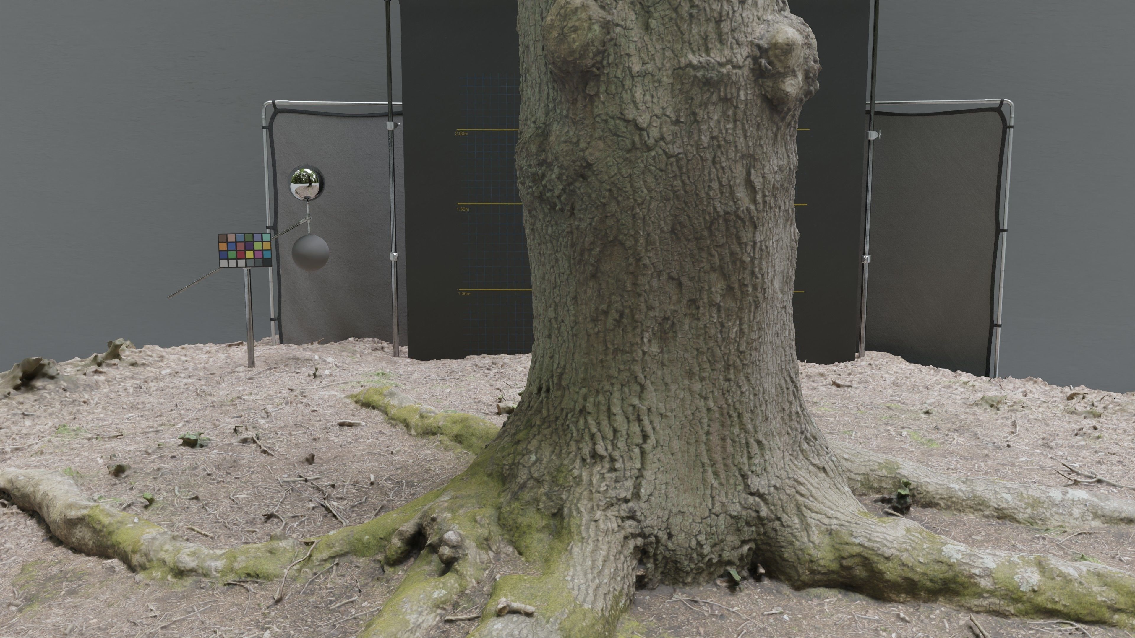 3D model Photogrammetry Model of a Tall Mossy Tree VR / AR / low-poly ...