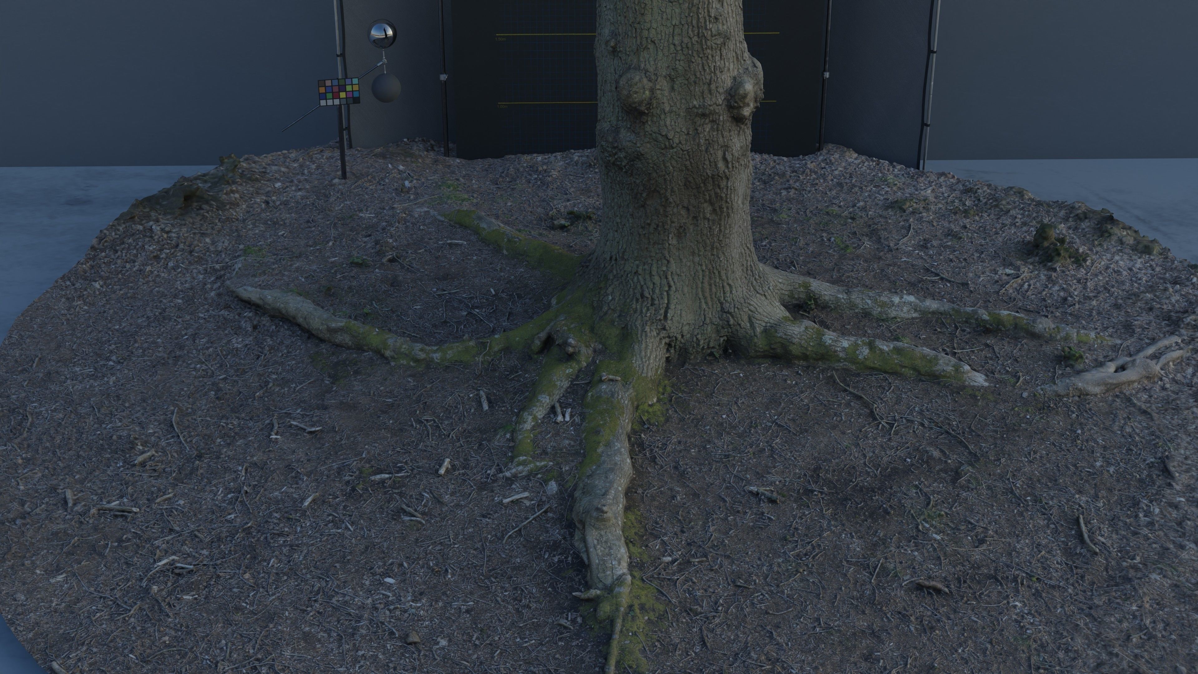 3D model Photogrammetry Model of a Tall Mossy Tree VR / AR / low-poly ...