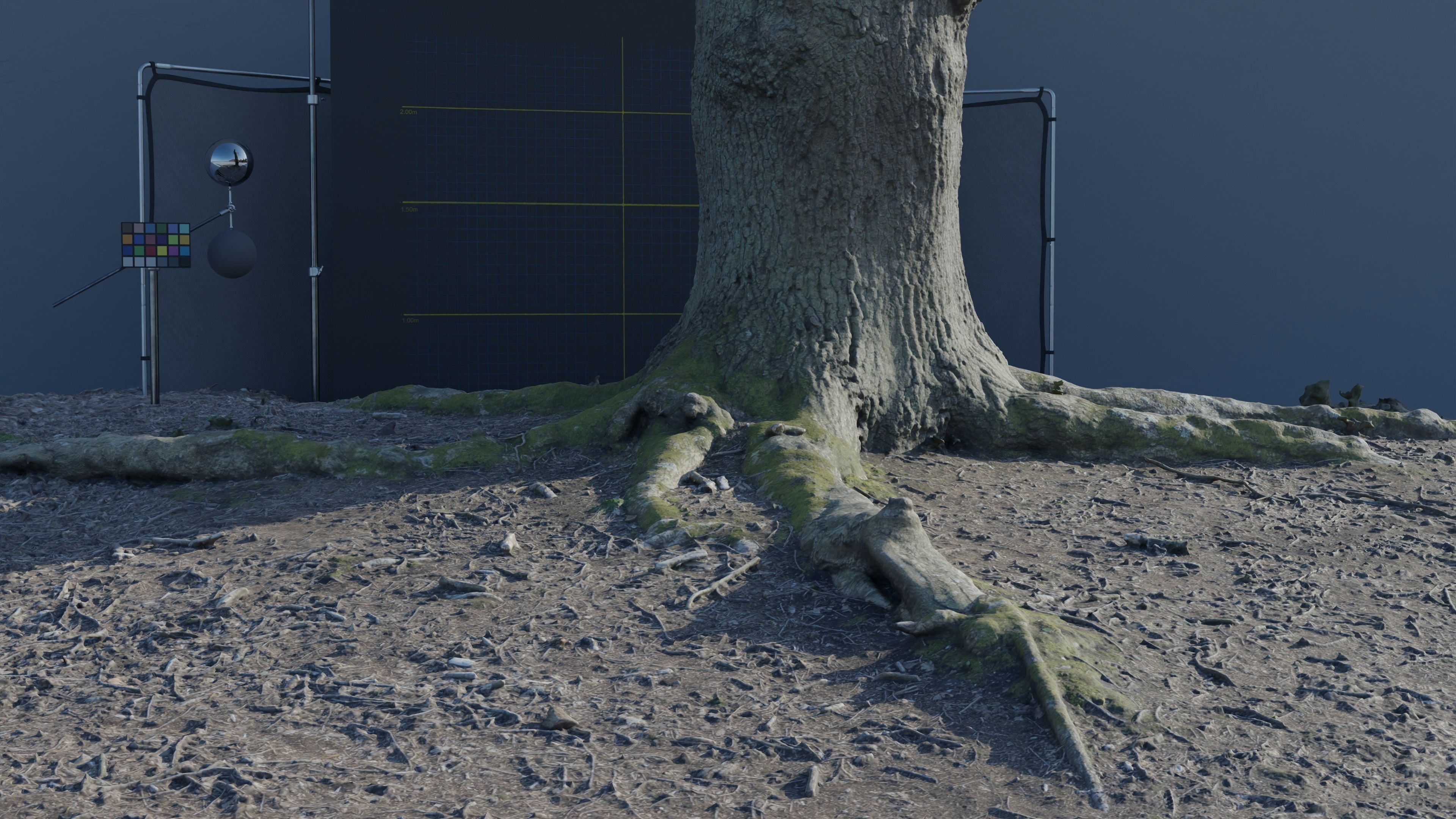 3D model Photogrammetry Model of a Tall Mossy Tree VR / AR / low-poly ...