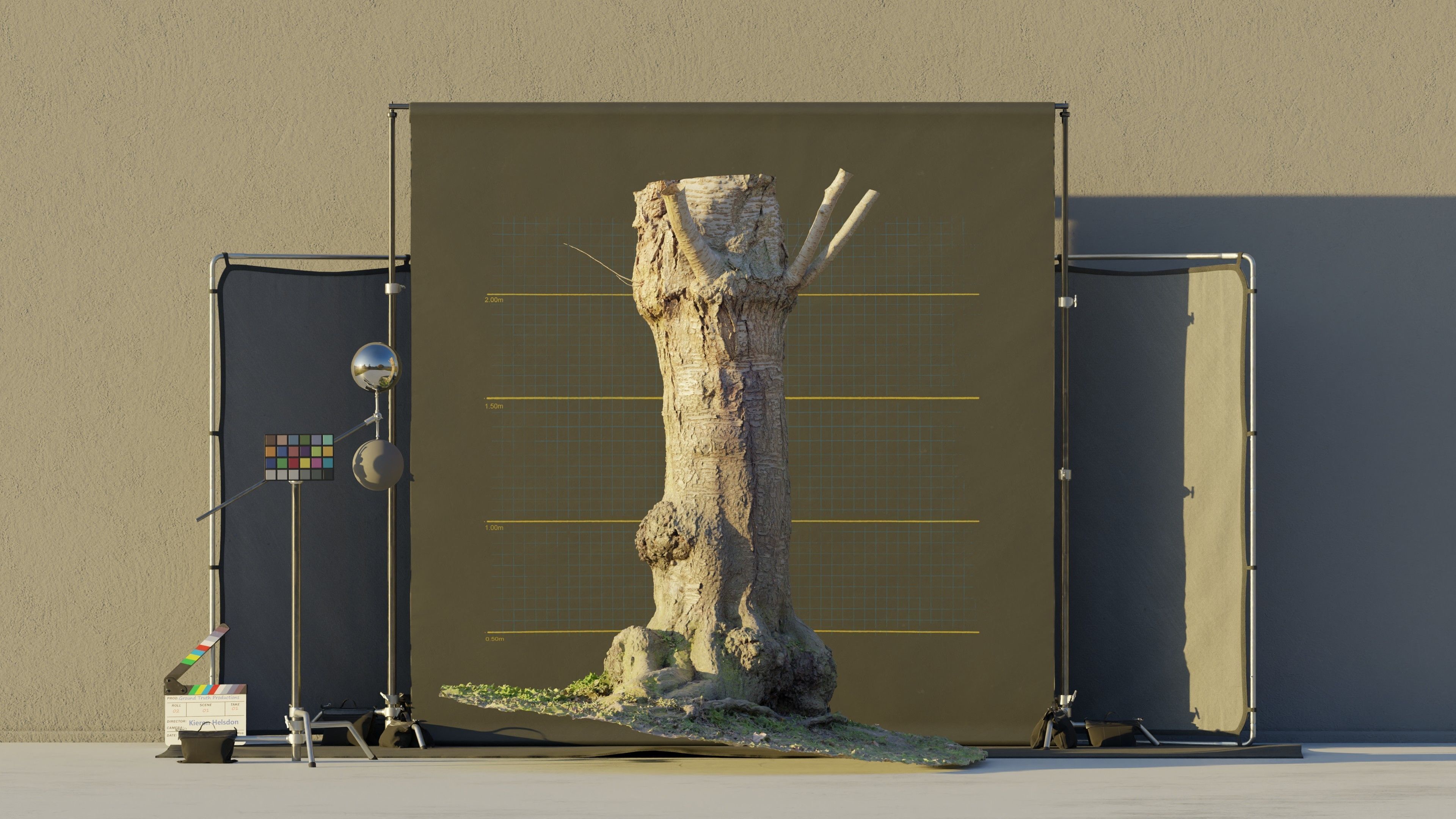 3D model Photogrammetry Model of a Cherry Blossom Trunk VR / AR / low ...