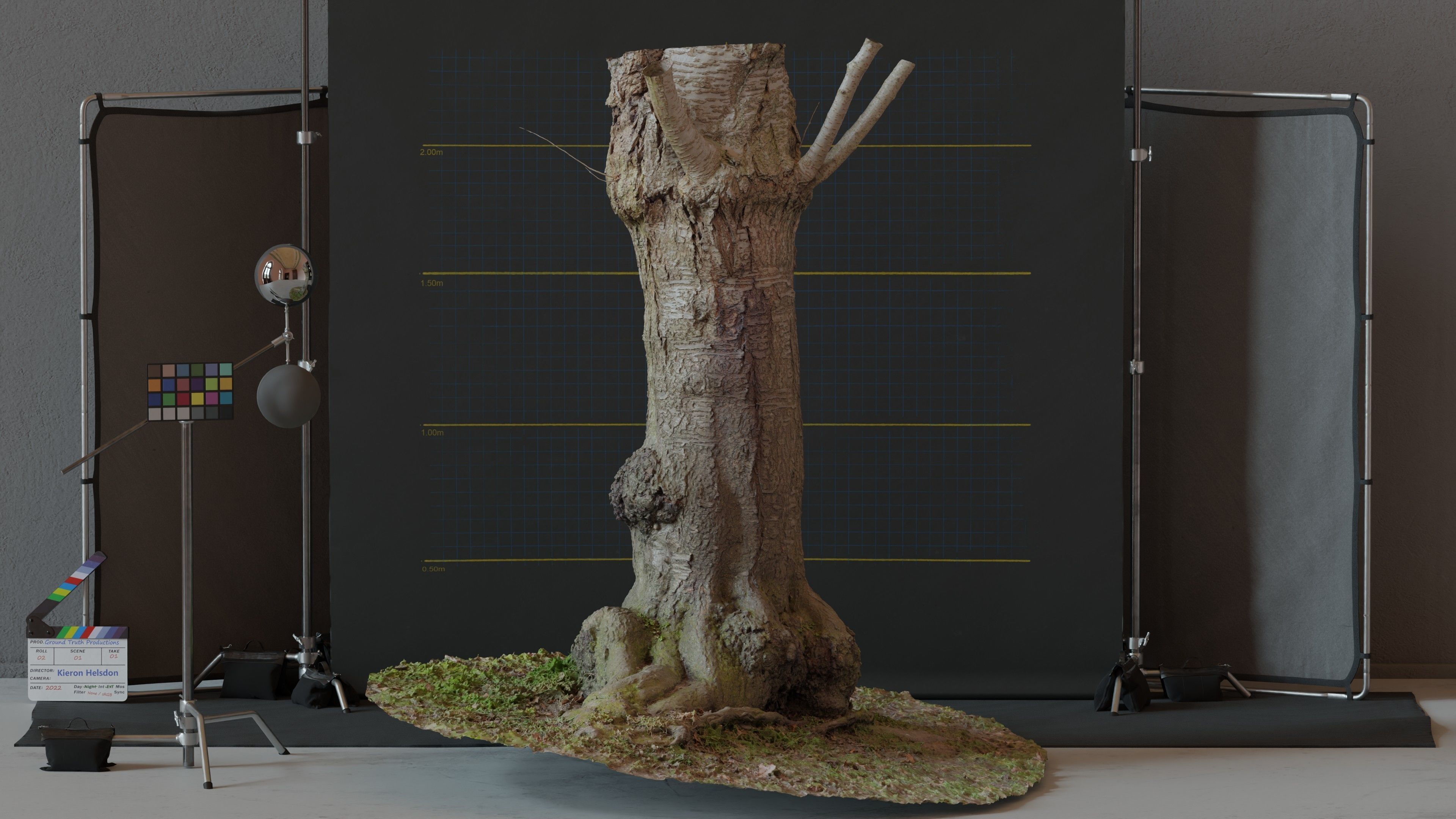 3D model Photogrammetry Model of a Cherry Blossom Trunk VR / AR / low ...