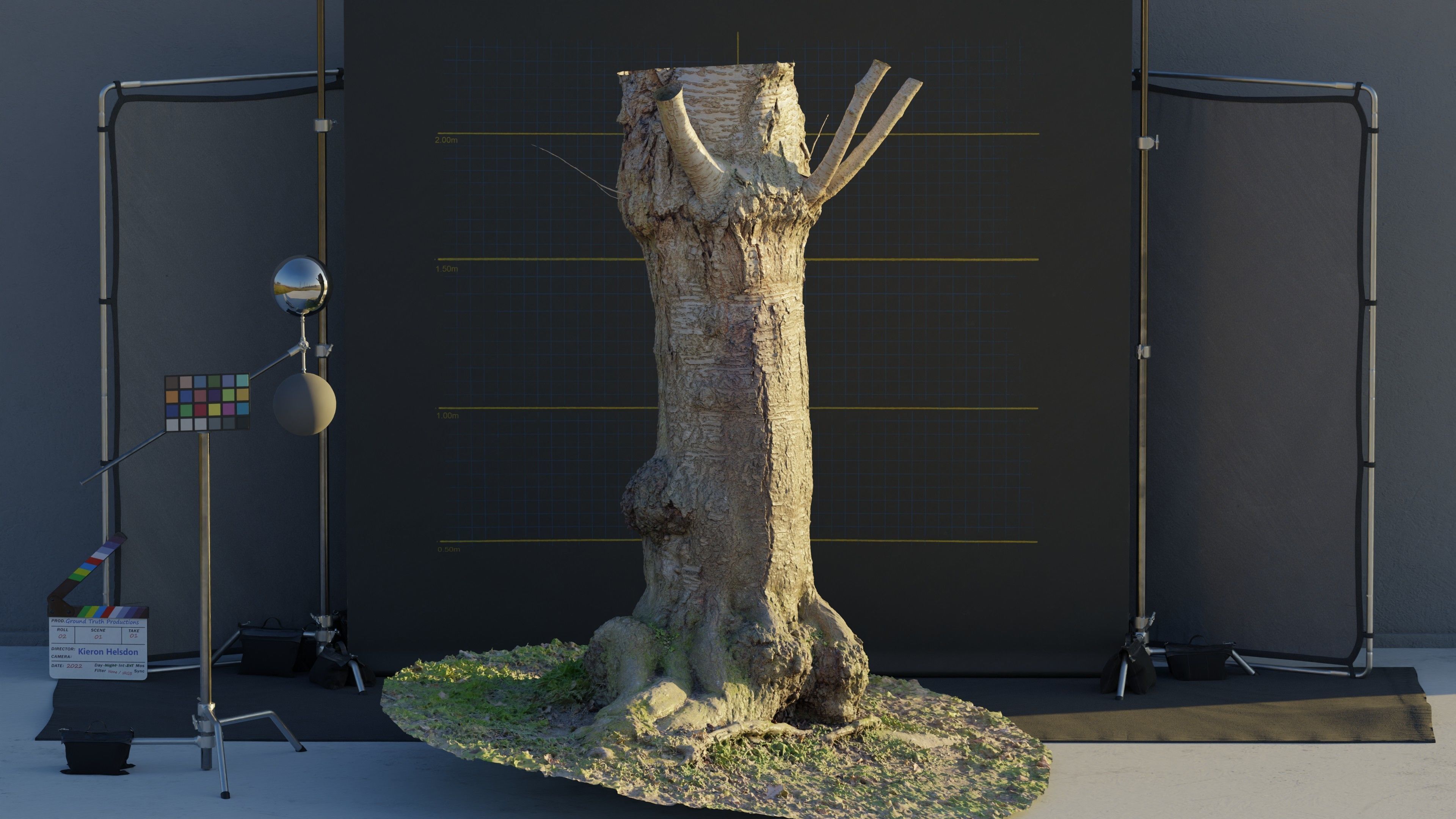 3D model Photogrammetry Model of a Cherry Blossom Trunk VR / AR / low ...