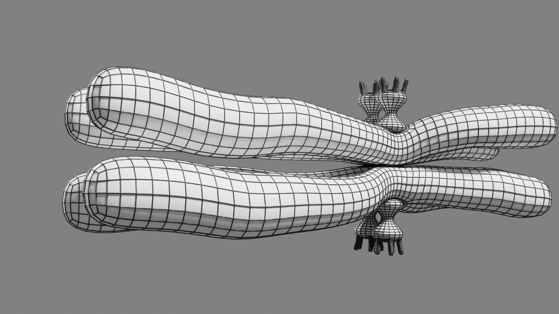 Chromosome homologous centromere kinetochore blender 3d model 3D model ...