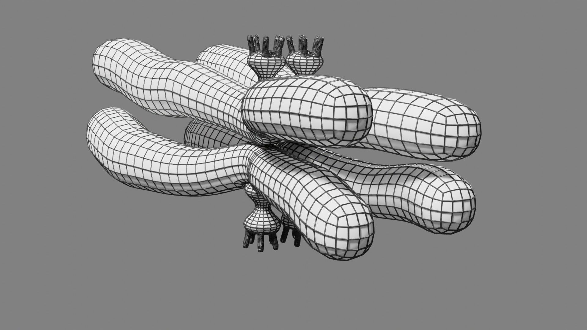 Chromosome homologous centromere kinetochore blender 3d model 3D model ...