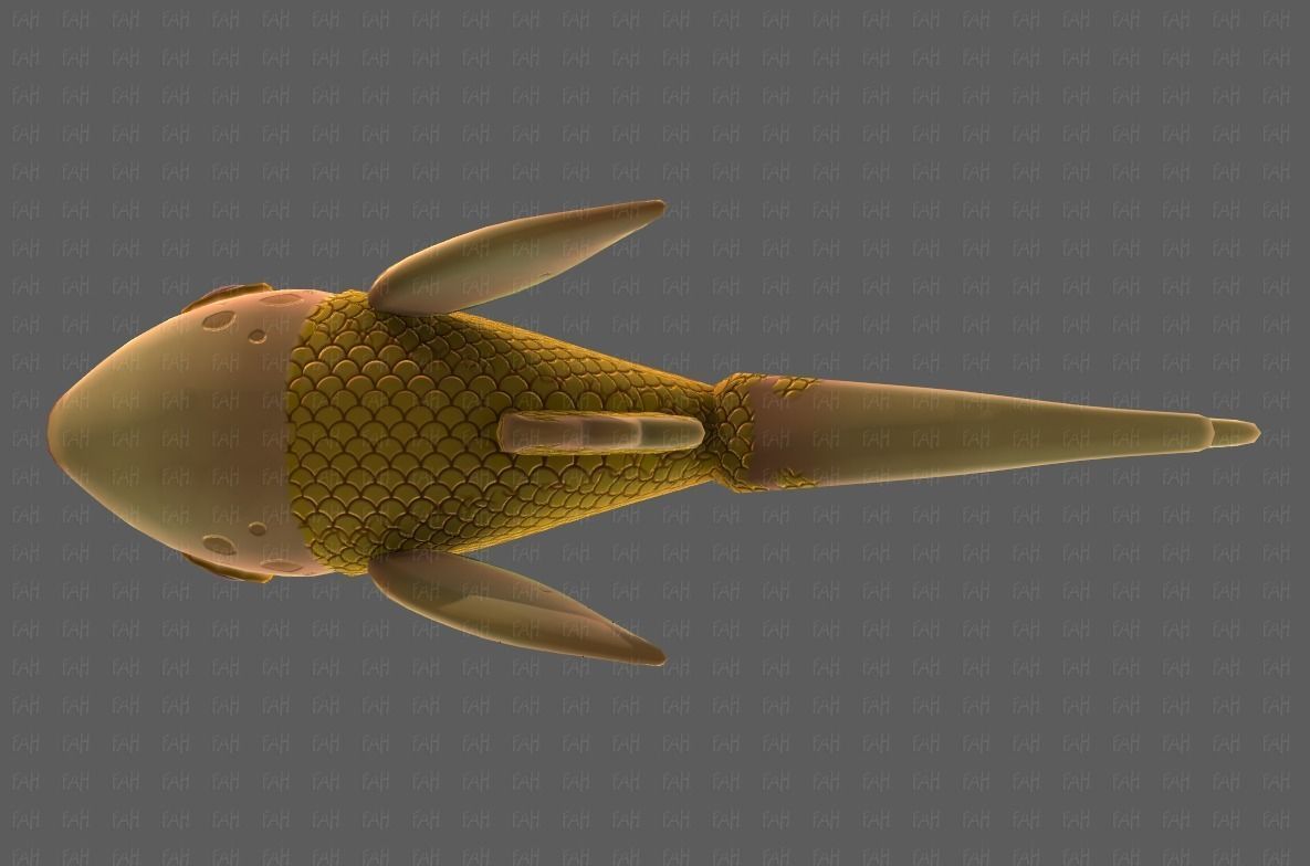 3D model Fish V11 VR / AR / low-poly | CGTrader