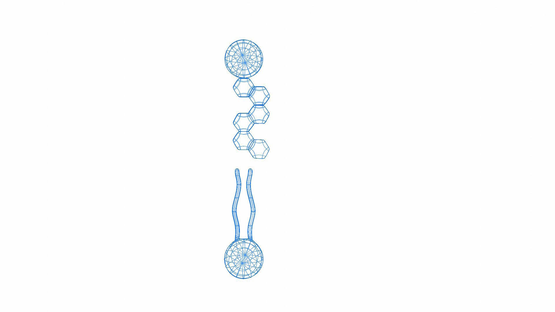 Cell membrane diagram 3D model animated | CGTrader