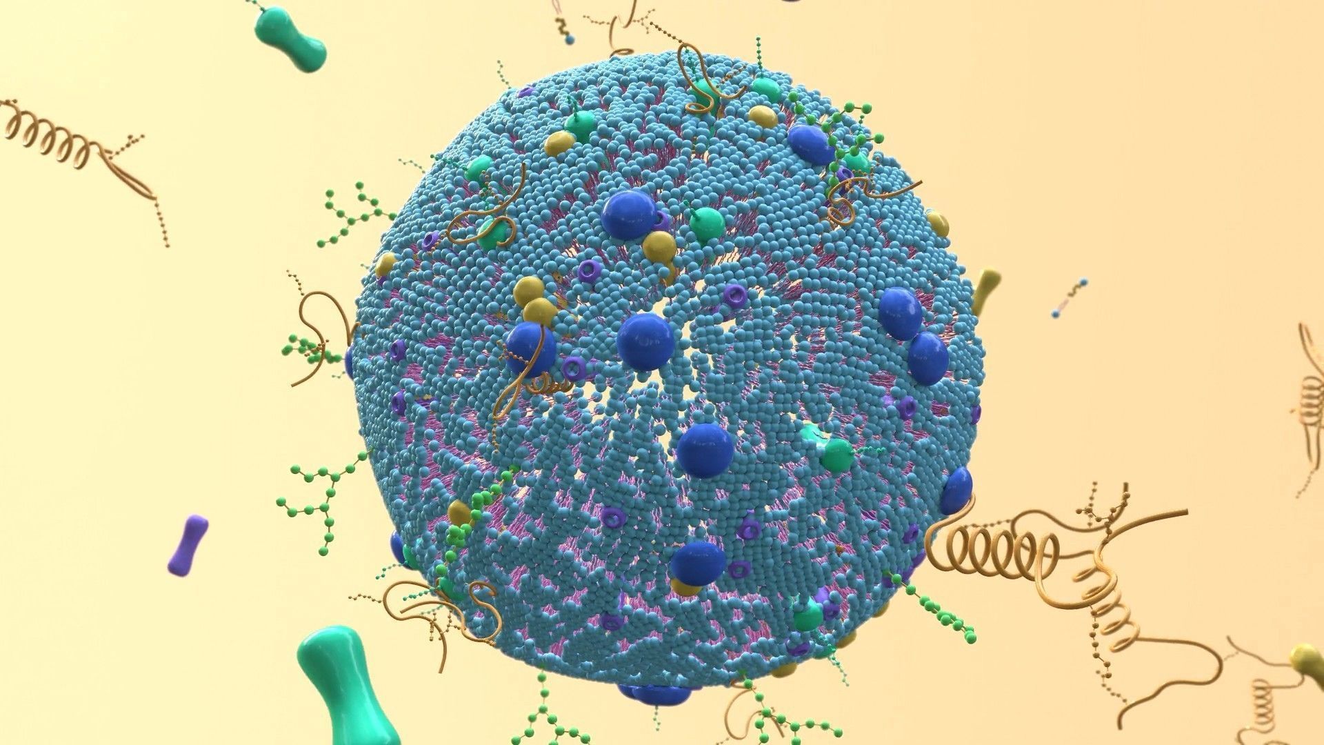 Cell membrane diagram 3D model animated | CGTrader