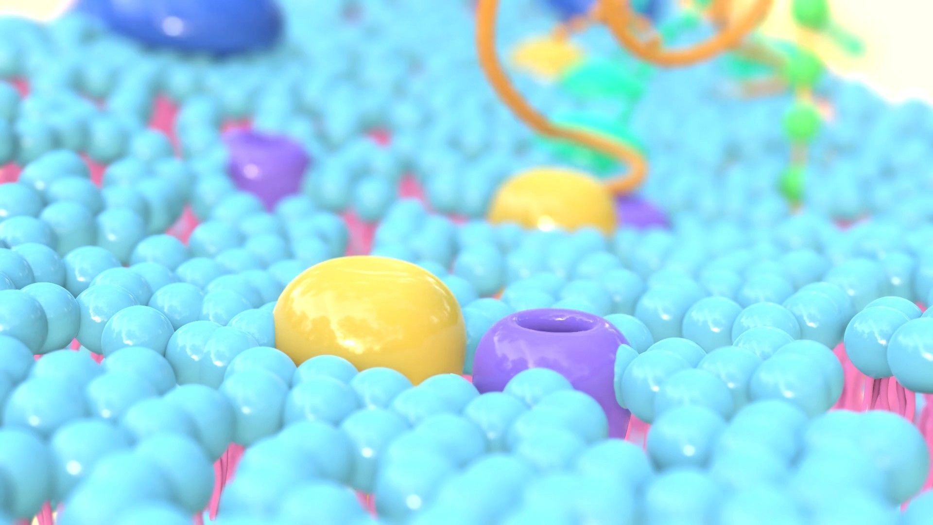 Cell membrane diagram 3D model animated | CGTrader