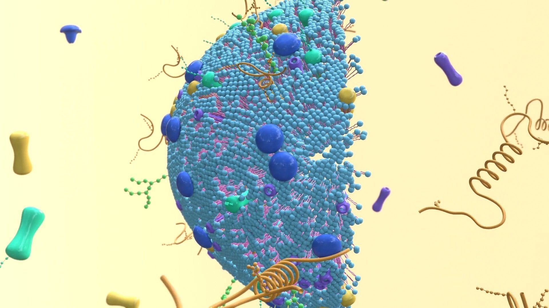 Cell membrane diagram 3D model animated | CGTrader