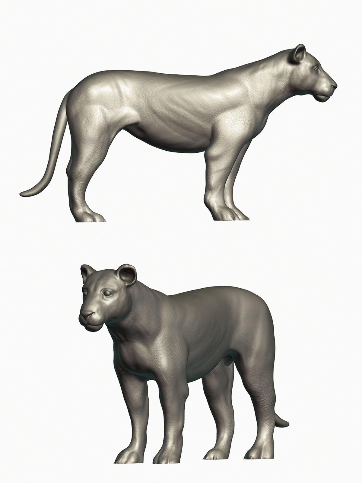 Female Lion Sculpt 3D model 3D printable | CGTrader
