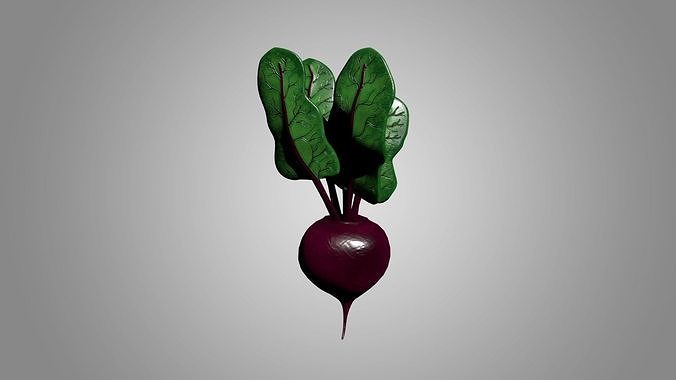 Radish 3D model | CGTrader